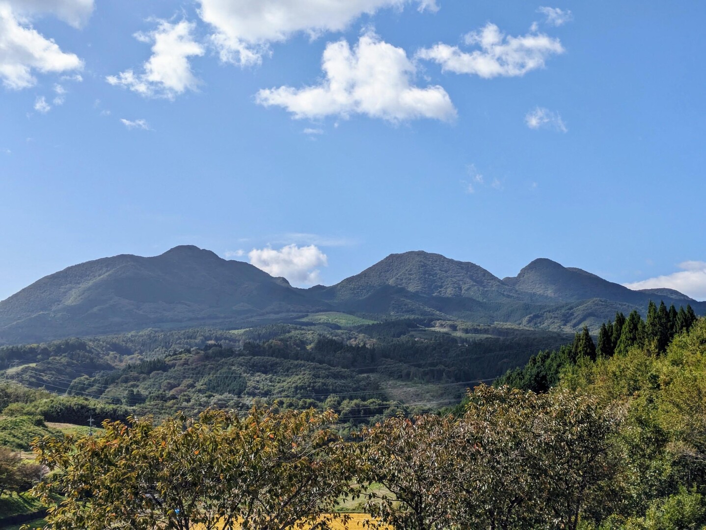 十二ヶ岳 / Hikoさんの小野子山・十二ヶ岳・雨乞山の活動データ | YAMAP / ヤマップ