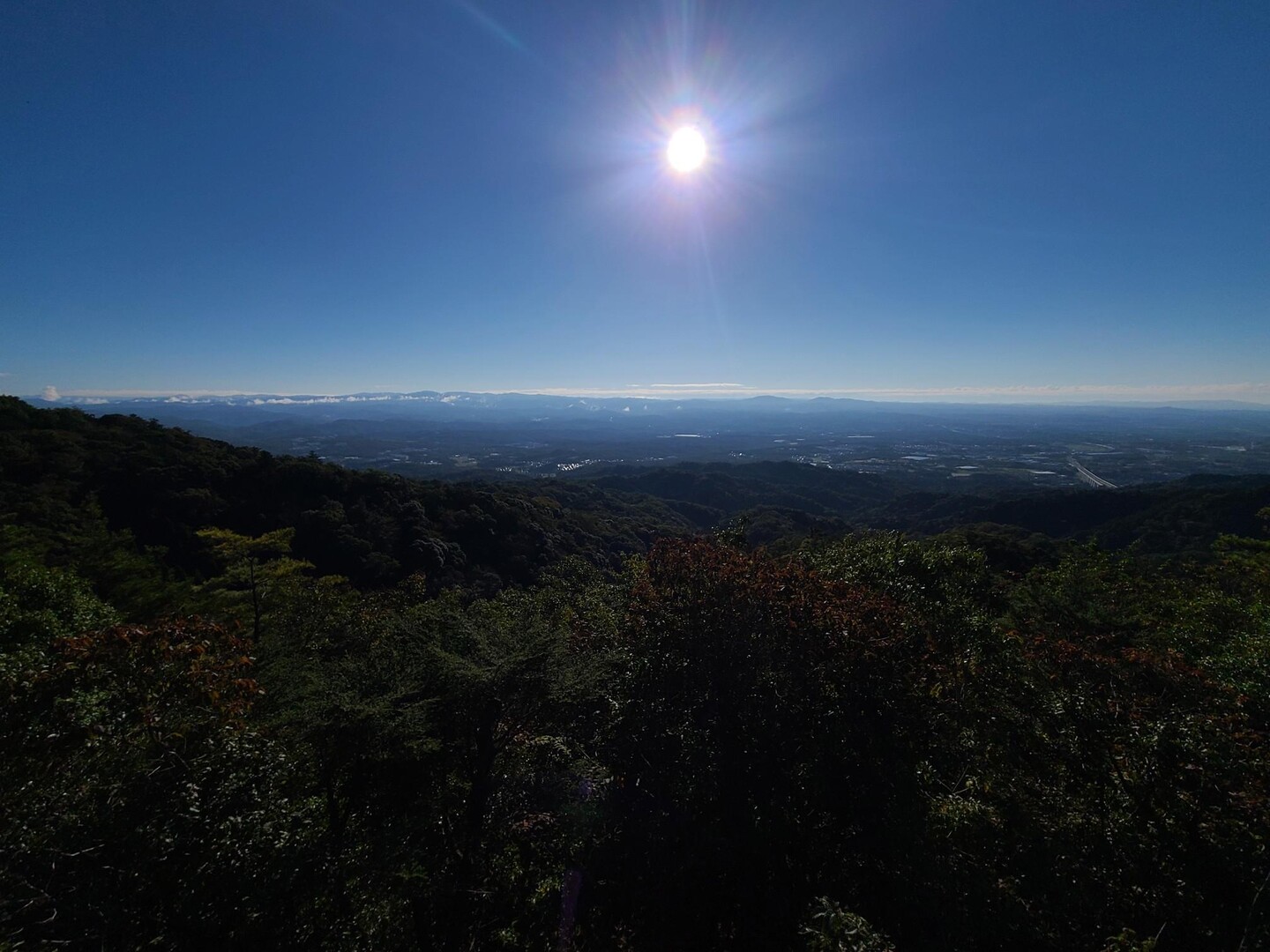 猿投山 / tatubaiさんの猿投山・物見山の活動データ | YAMAP / ヤマップ
