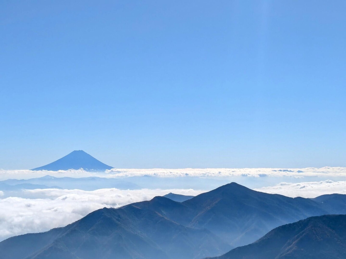甲武信ヶ岳【徳ちゃん新道往復】 / tatuさんの甲武信ヶ岳の活動データ | YAMAP / ヤマップ