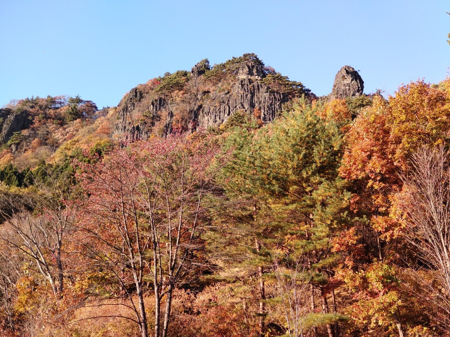 霊山-2022-11-07 / デコ.ピンさんの霊山の活動データ | YAMAP / ヤマップ