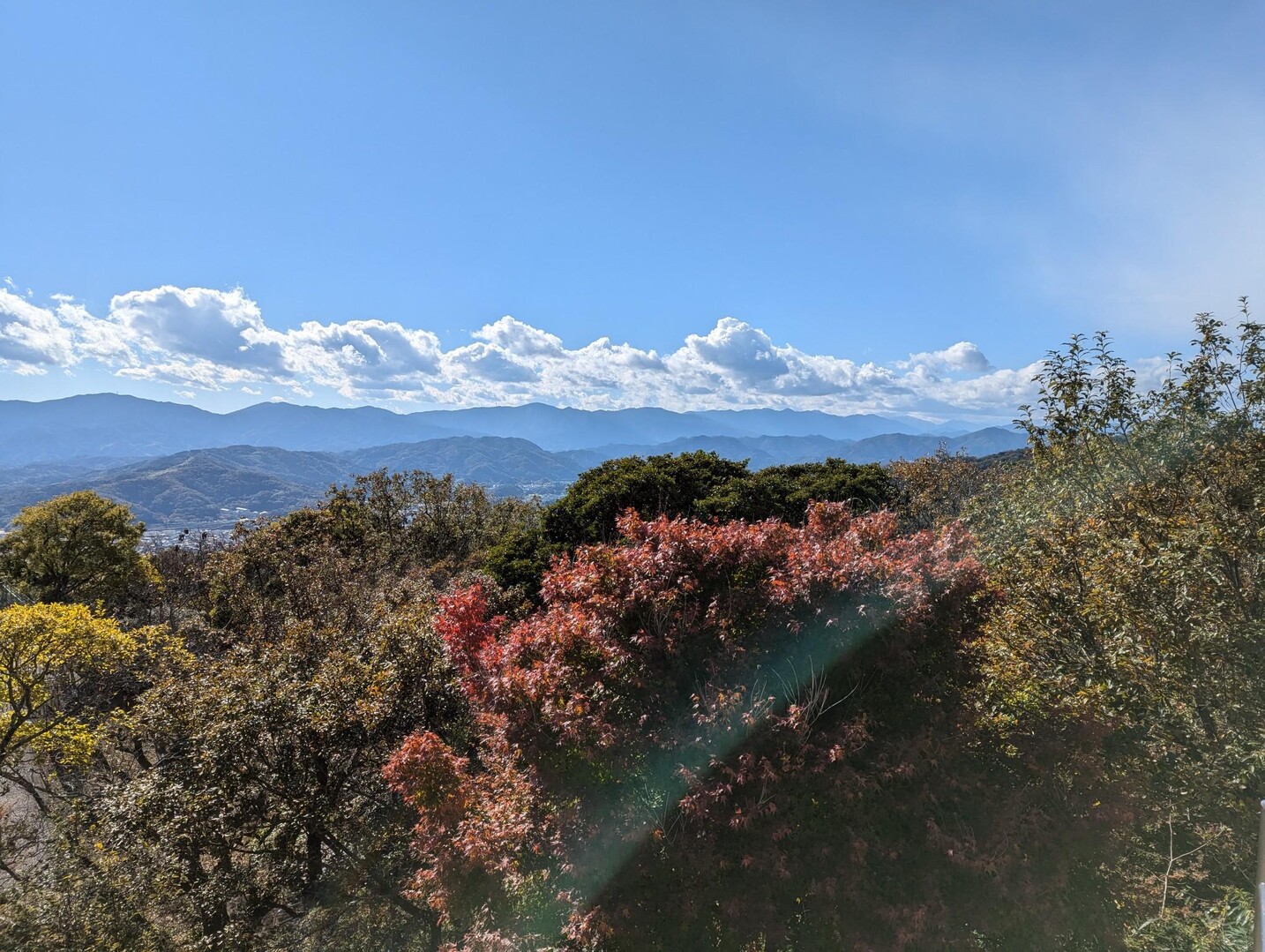 眉山・眉山（最高点） / Explorerさんの眉山の活動データ | YAMAP / ヤマップ