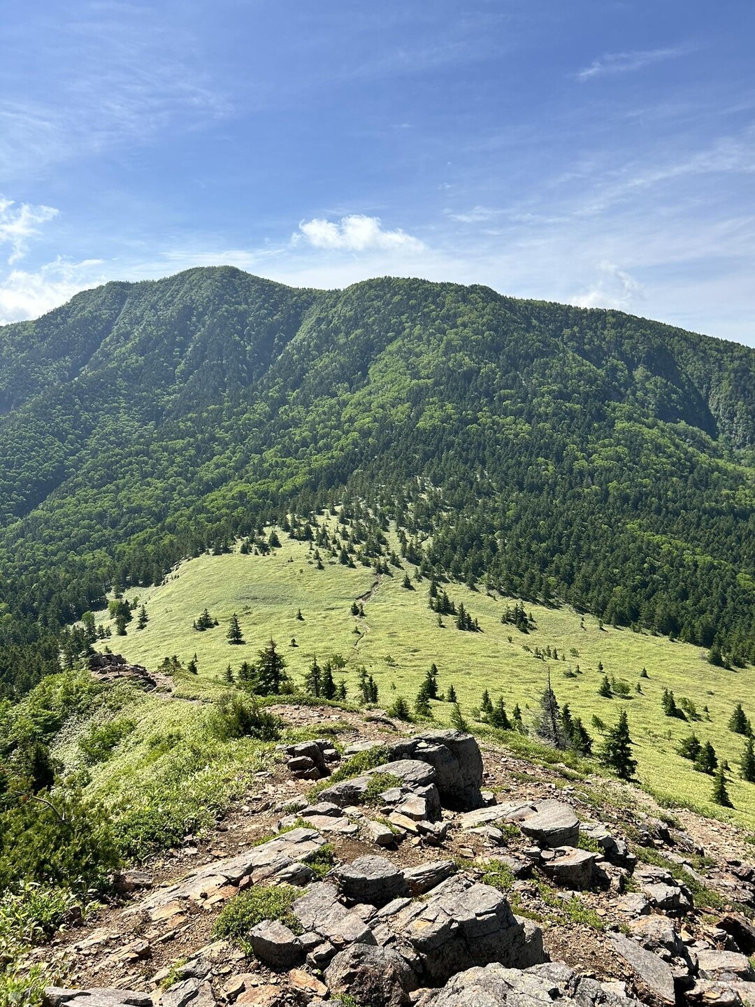 根子岳〜四阿山の稜線が見たくて🥺⛰️ / chii-hikeさんの四阿山・根子岳の活動データ | YAMAP / ヤマップ