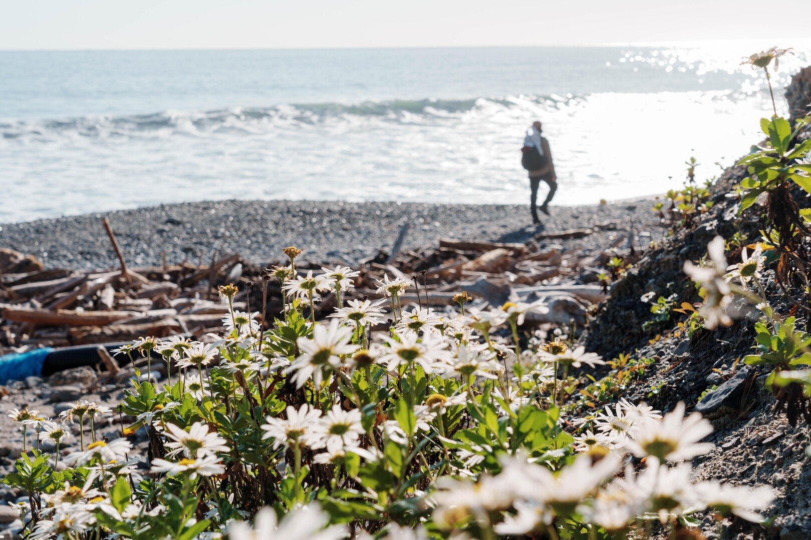 Day3 みちのく潮風トレイル「陸中野田駅⇒普代駅」 / さとみさんのみちのく潮風トレイル 野田村～普代村北部ルートの活動データ | YAMAP / ヤマップ