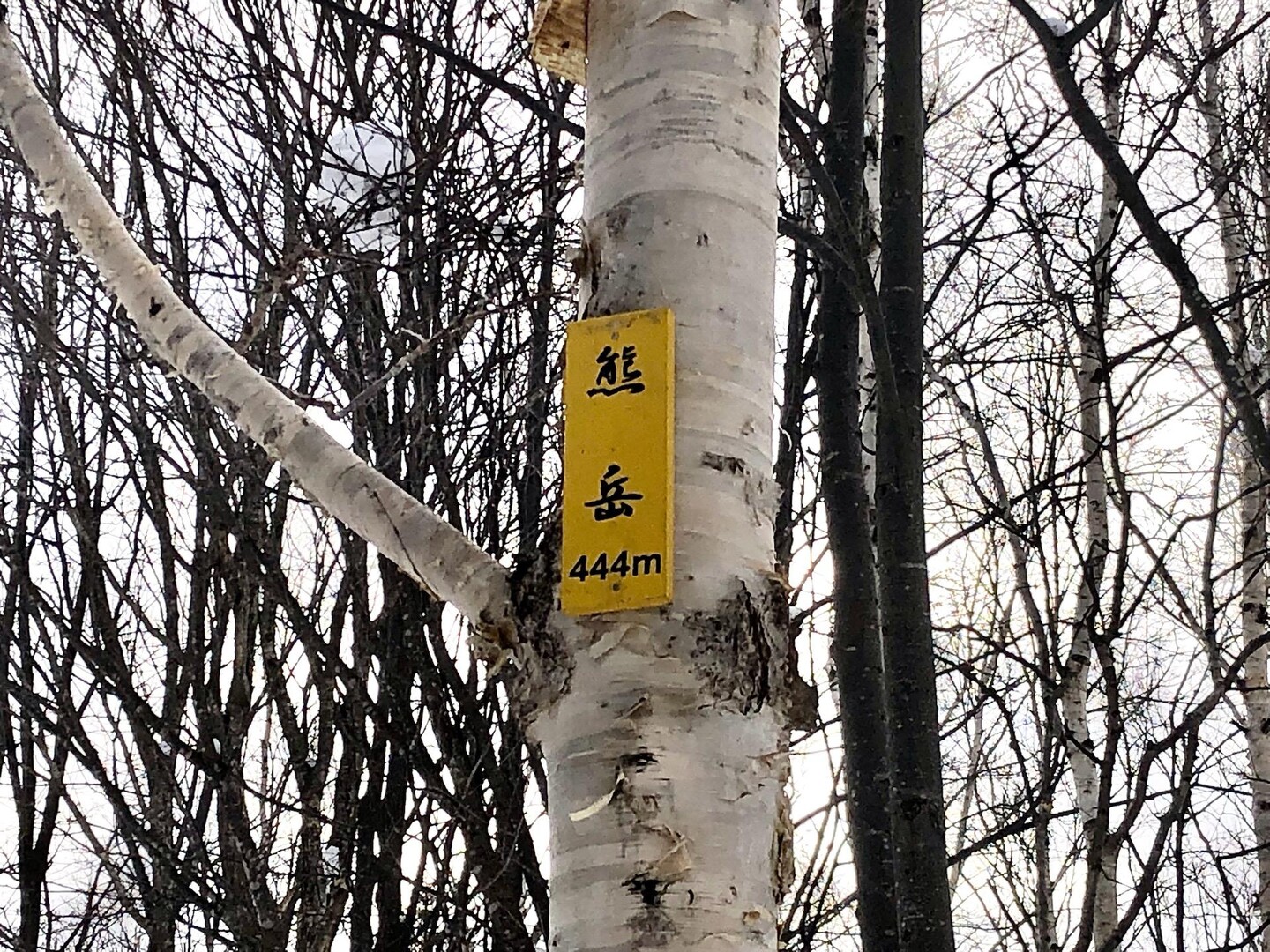 熊岳 / katuraさんの朝里天狗岳の活動データ | YAMAP / ヤマップ