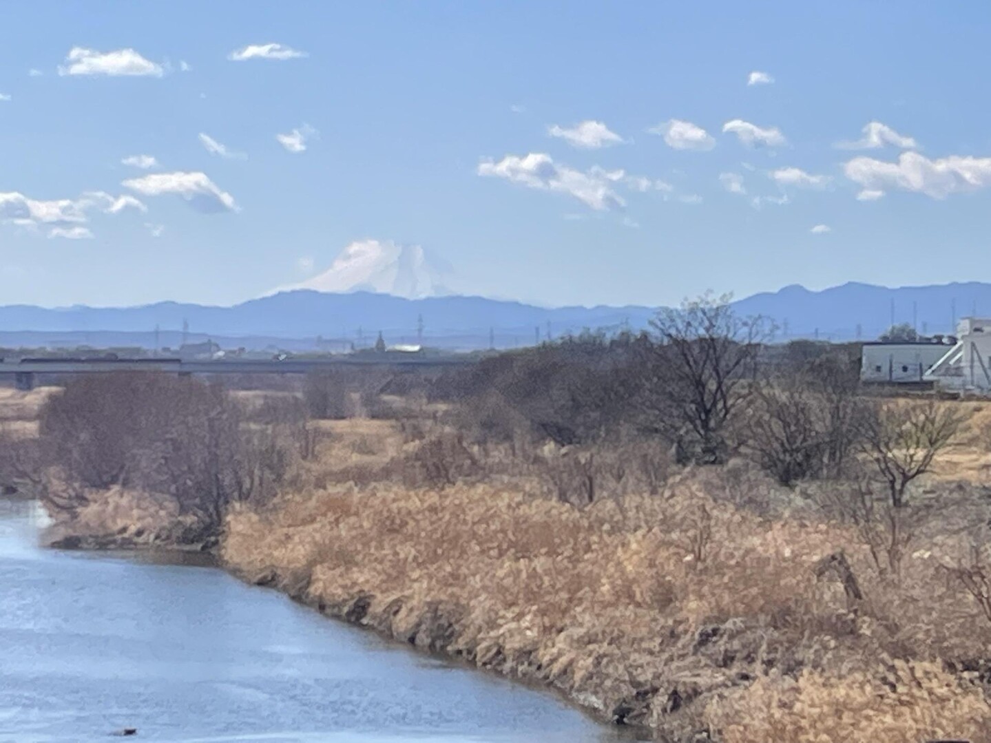 入間川九里 / sibacciさんのウォーキングの活動データ | YAMAP / ヤマップ