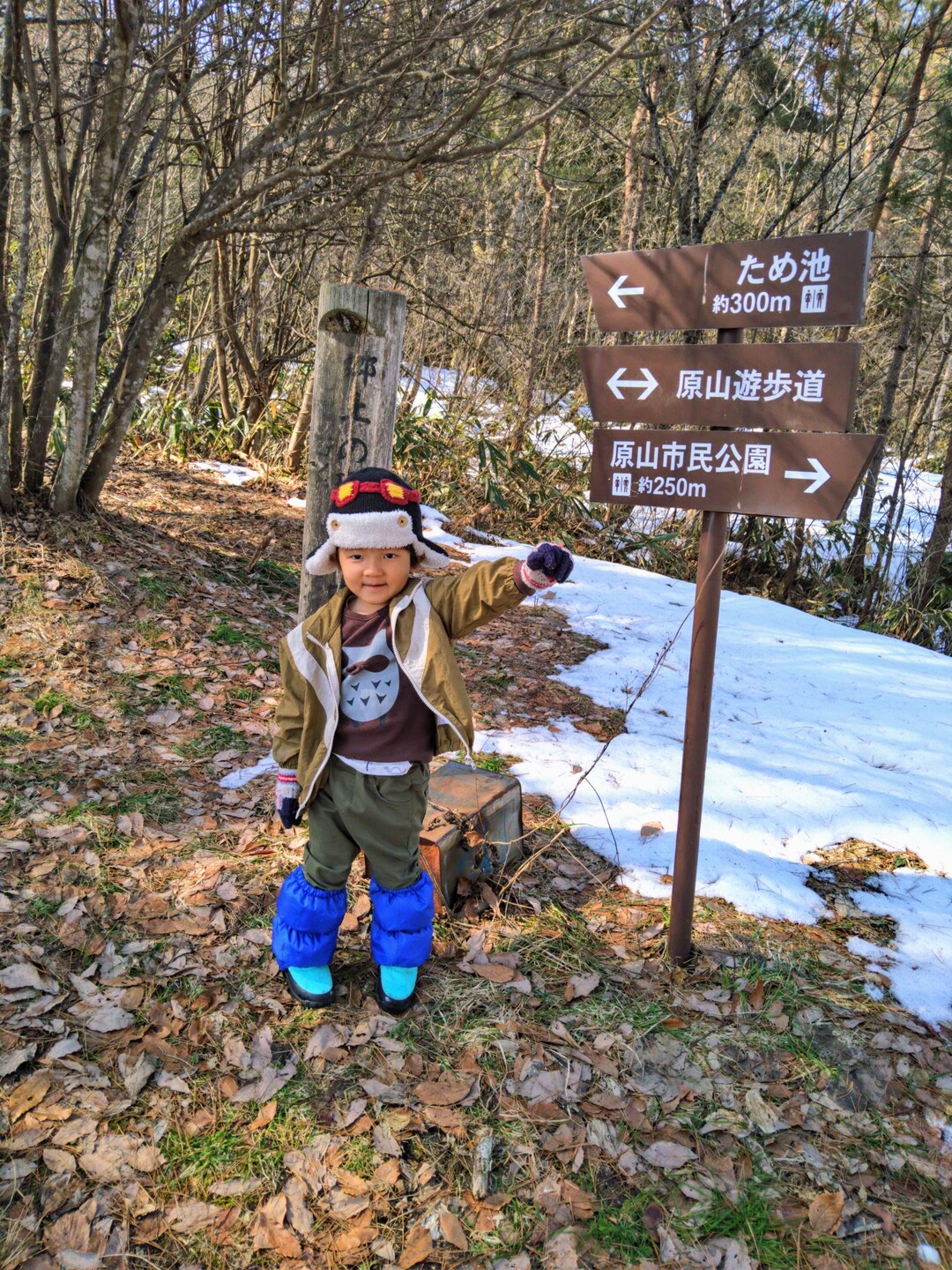 今日の親子登山の動画バージョンをInst... / AKIRAさんのモーメント | YAMAP / ヤマップ