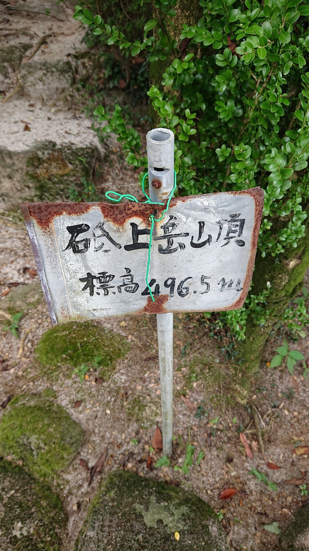 砥上岳 / 八咫烏さんの砥上岳の活動データ | YAMAP / ヤマップ