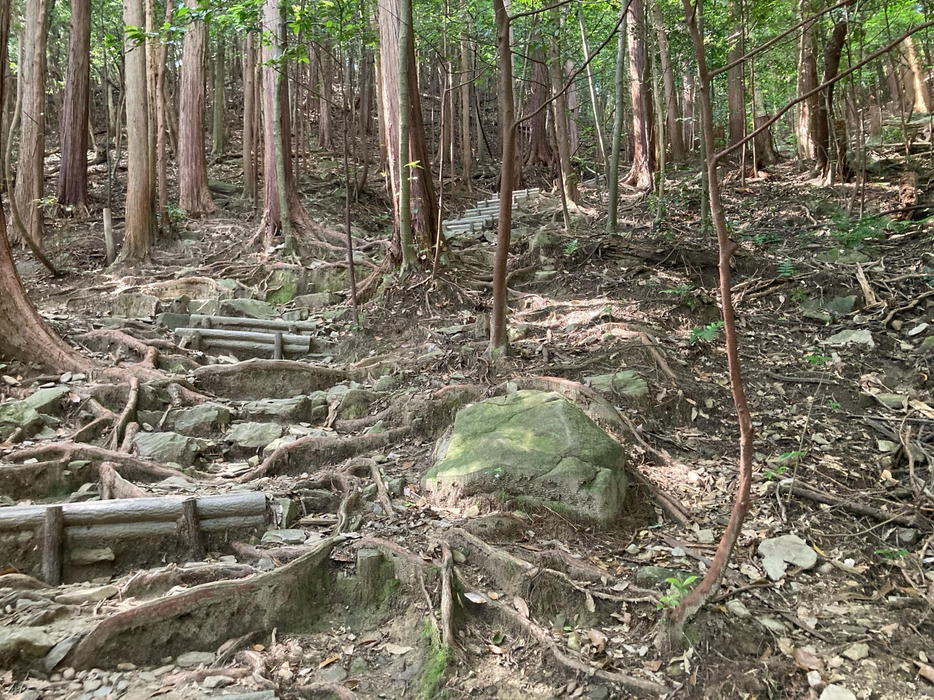 村積山⛰️奥殿陣屋ルート / tom 〜還暦低山ハイカー〜さんの村積山の活動データ | YAMAP / ヤマップ