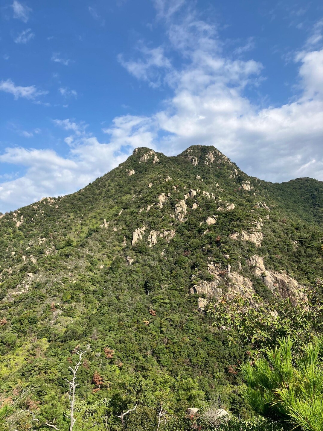 大人気 石船山・右田ヶ岳西峰・右田ヶ岳 / totoさんの右田ヶ岳・西目山・楞厳寺山の活動日記 | YAMAP / ヤマップ