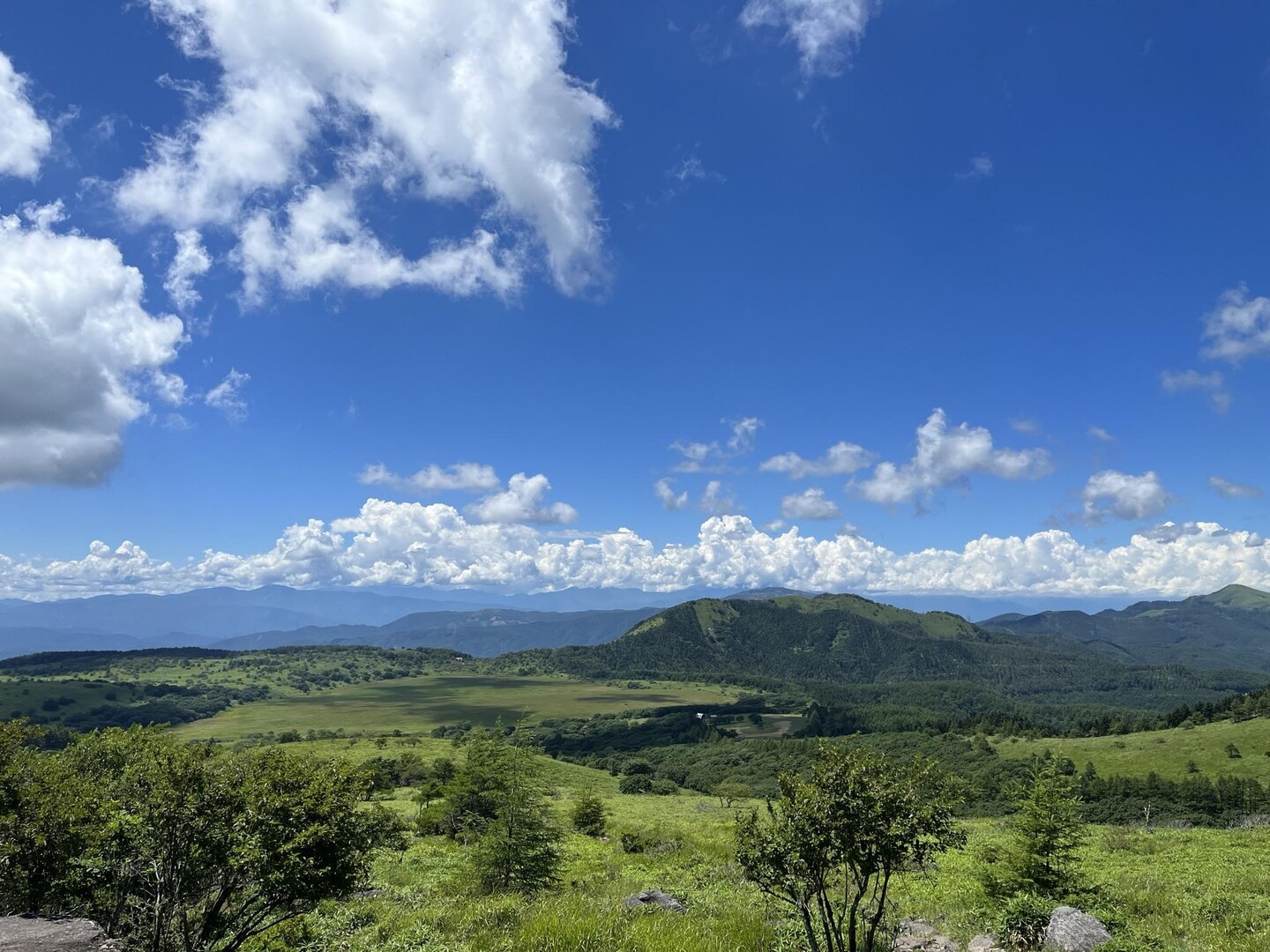蝶々深山・霧ヶ峰（車山） / sonoさんの霧ヶ峰・車山・大笹峰の活動データ | YAMAP / ヤマップ