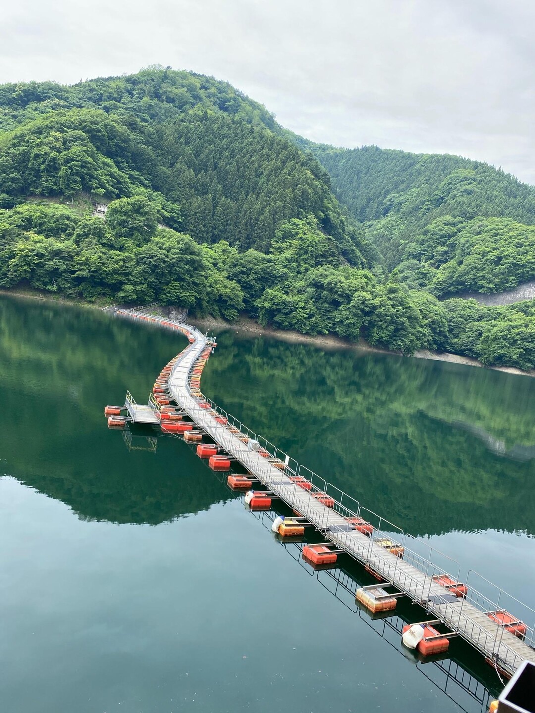 小河内神社BS→麦山橋→三頭山・槇寄山→数馬BS / はる🌻さんの三頭山・槇寄山・土俵岳の活動データ | YAMAP / ヤマップ
