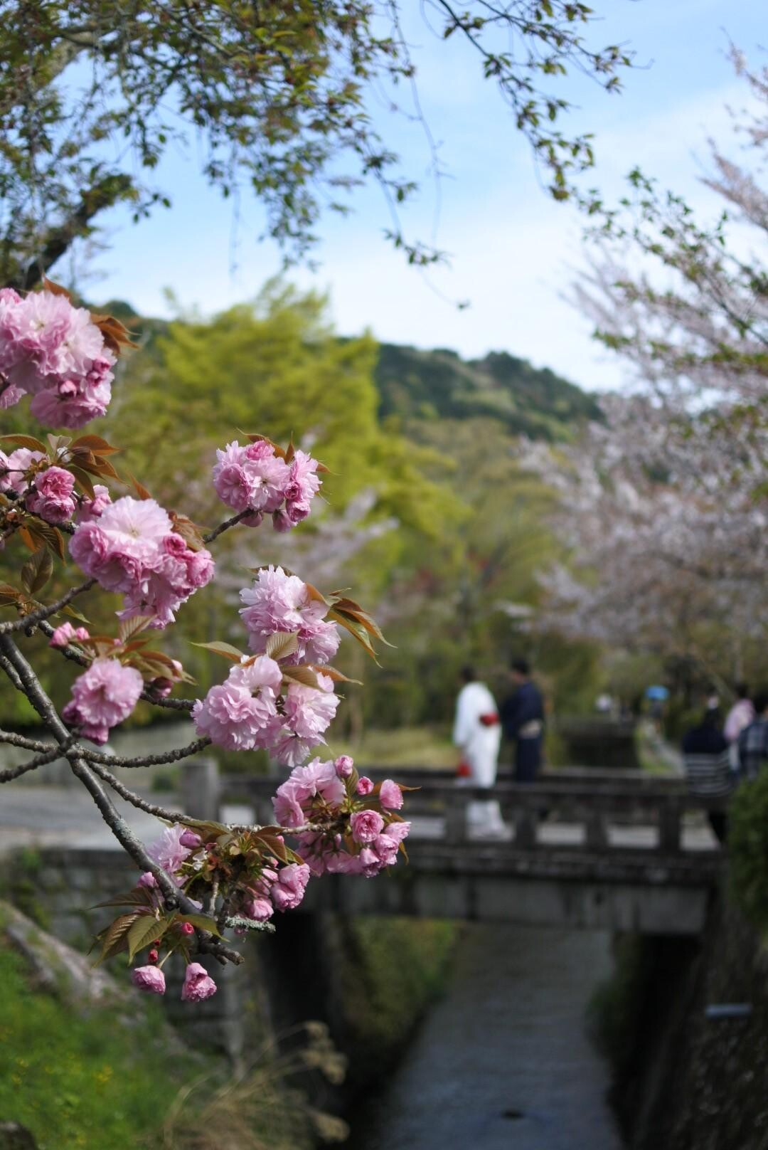 哲学の道 / kuu-nyanさんの京都一周トレイルの活動データ | YAMAP / ヤマップ