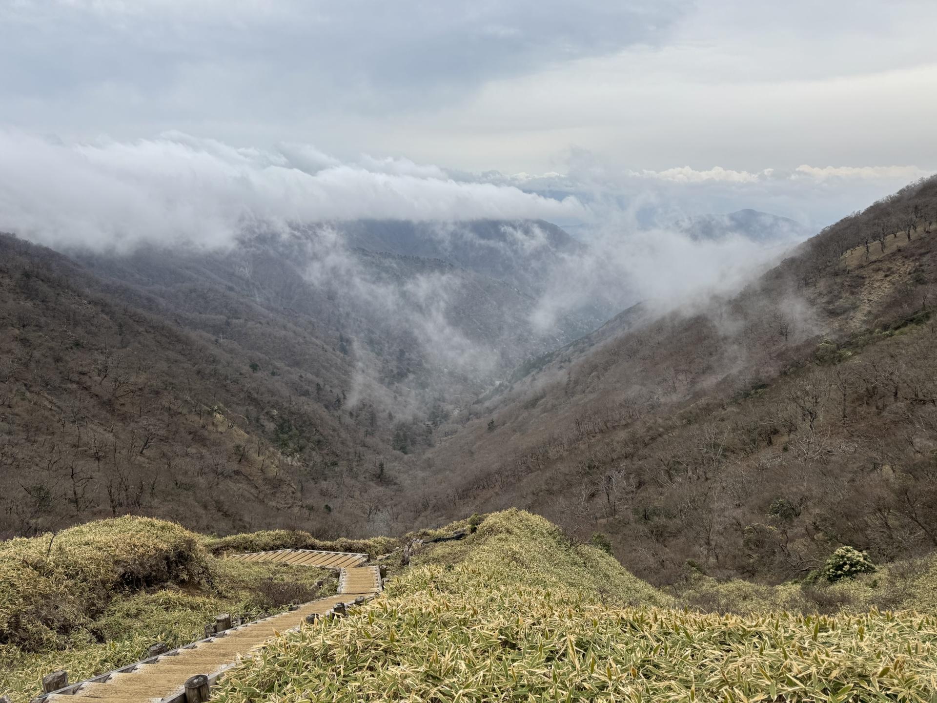 「リハビリ」塔ノ岳・丹沢山・蛭ヶ岳 / yjyjyさんの塔ノ岳・丹沢山・蛭ヶ岳の活動データ | YAMAP / ヤマップ