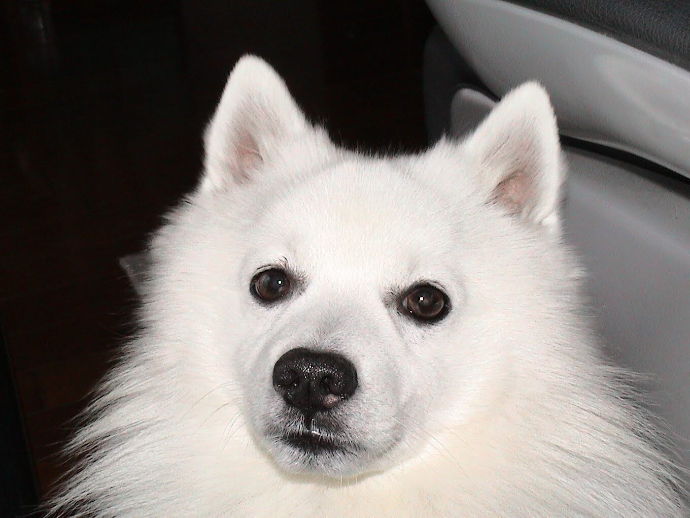 わんたろべえのページ | YAMAP / ヤマップ