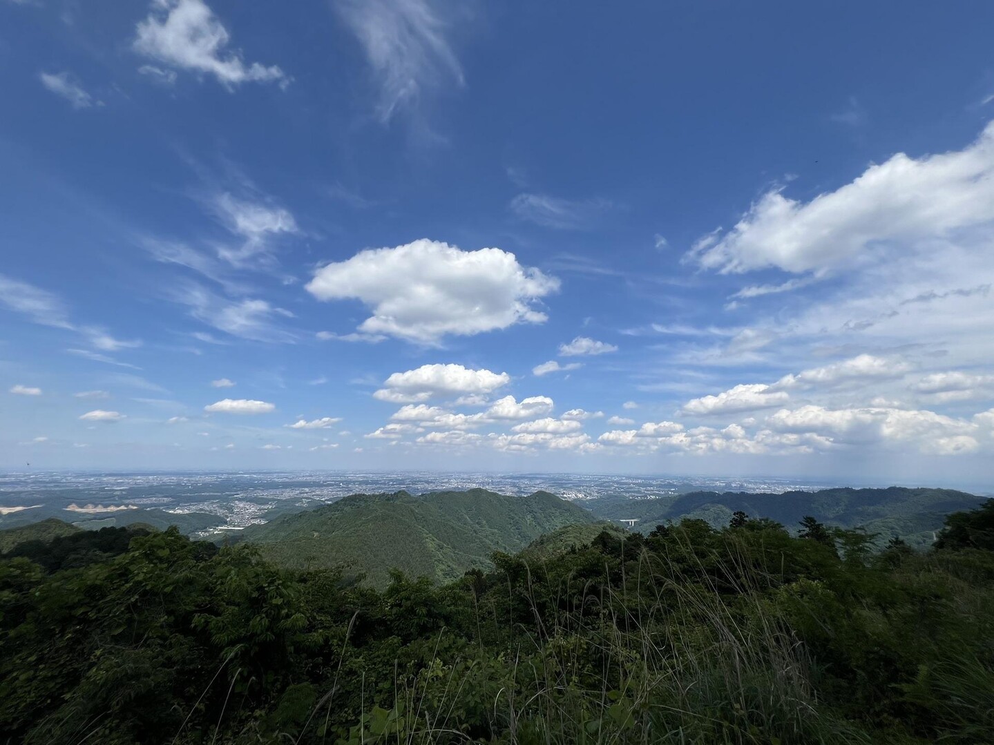 陣馬山→景信山 / SK-MATさんの高尾山・陣馬山・景信山の活動データ | YAMAP / ヤマップ