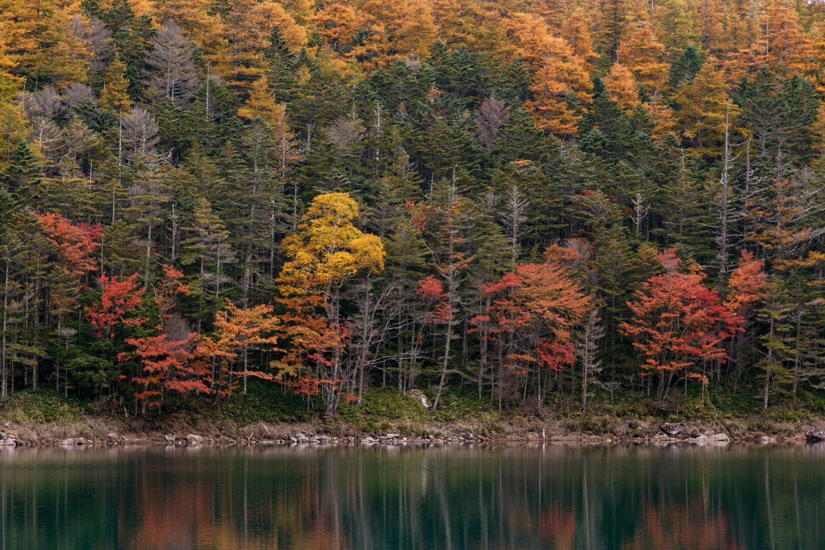 北八ヶ岳の池と紅葉巡り / hkhg_yさんの蓼科山・横岳・縞枯山の活動データ | YAMAP / ヤマップ