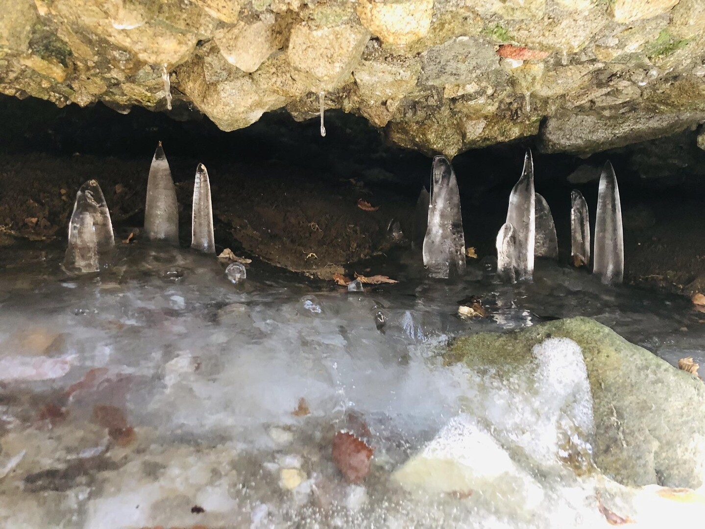 鷹ノ巣山・ガラメキ温泉 / necomaru Xさんの榛名山・天狗山・天目山の活動データ | YAMAP / ヤマップ