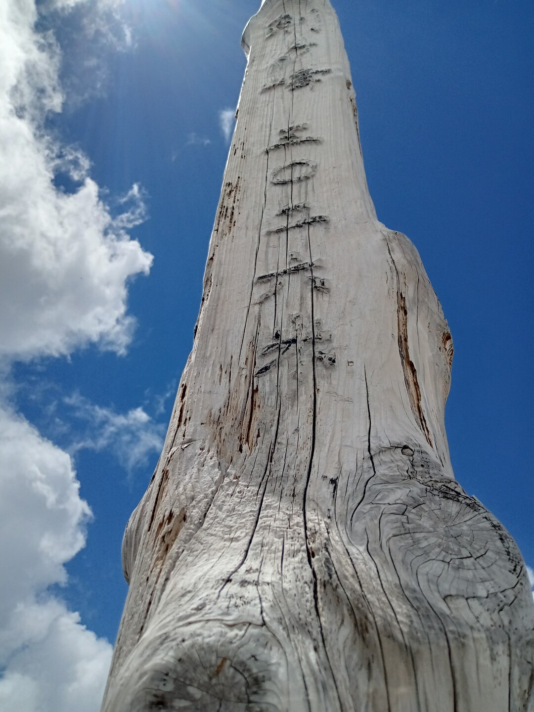 乗鞍岳（剣ヶ峰） / Yos 8611さんの乗鞍岳の活動データ | YAMAP / ヤマップ