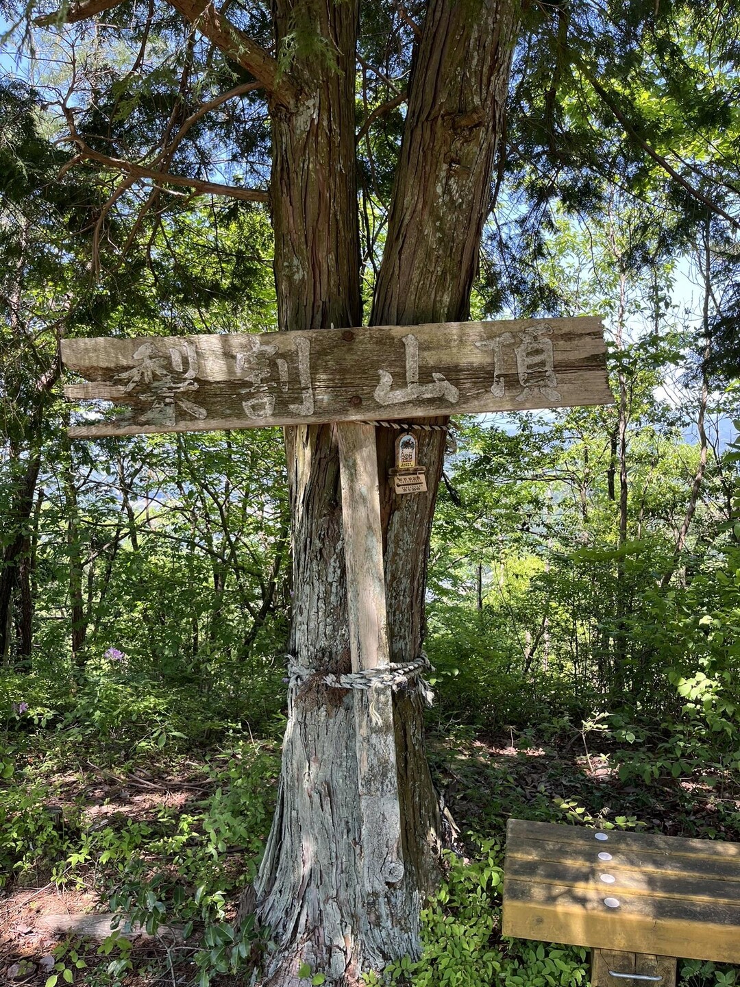 梨割山・古城山 / gaitoさんの梨割山の活動データ | YAMAP / ヤマップ