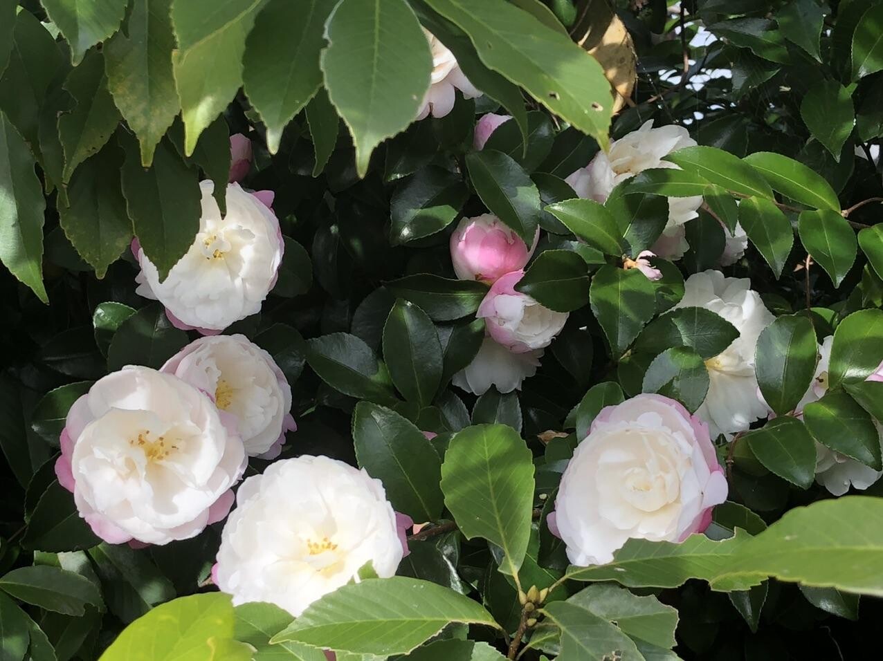 Keikoのページ | YAMAP / ヤマップ