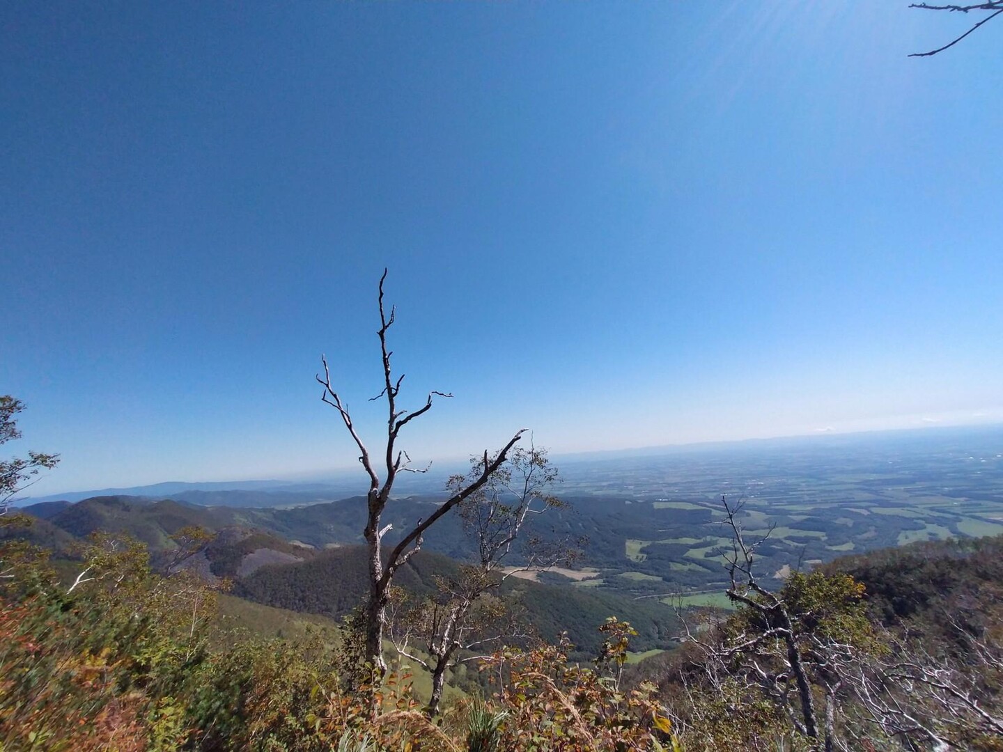 東ヌプカウシヌプリ / saonさんの東ヌプカウシヌプリ・西ヌプカウシヌプリの活動データ | YAMAP / ヤマップ