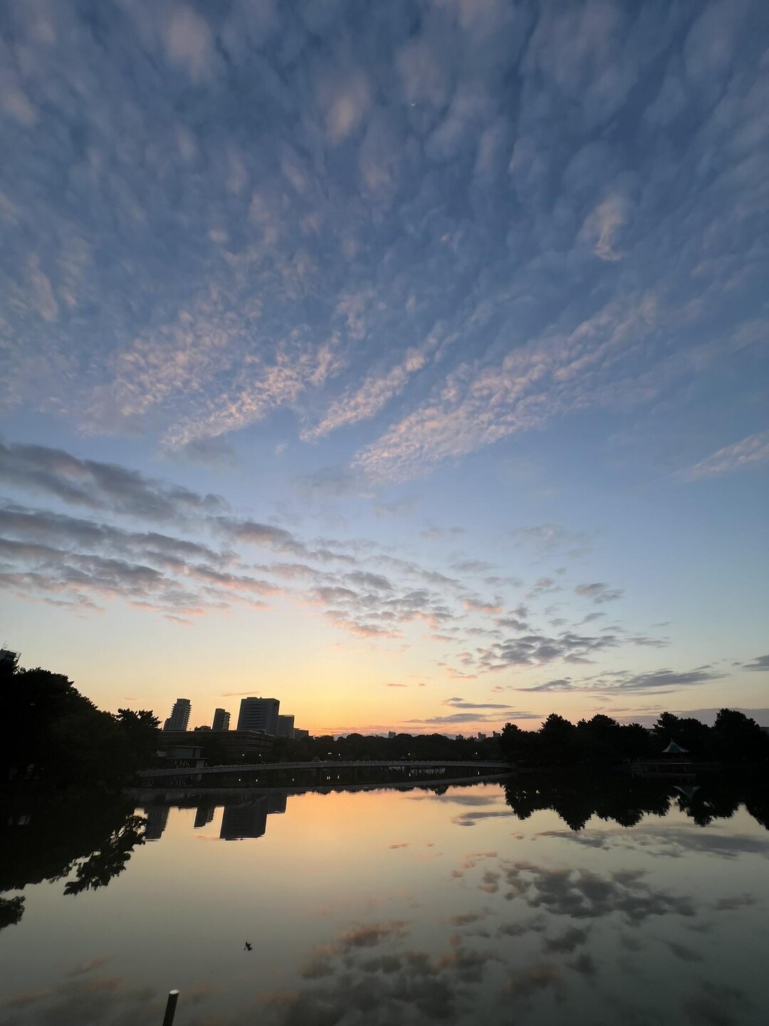 ウォーキング-2024-09-26 / MOさんのウォーキングの活動データ | YAMAP / ヤマップ