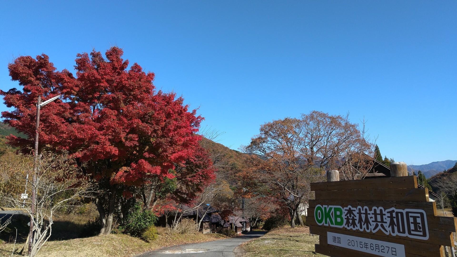 紅葉 美しい😃😃 貝月山-2022-11-18 / mooかめさんの貝月山の活動データ | YAMAP / ヤマップ