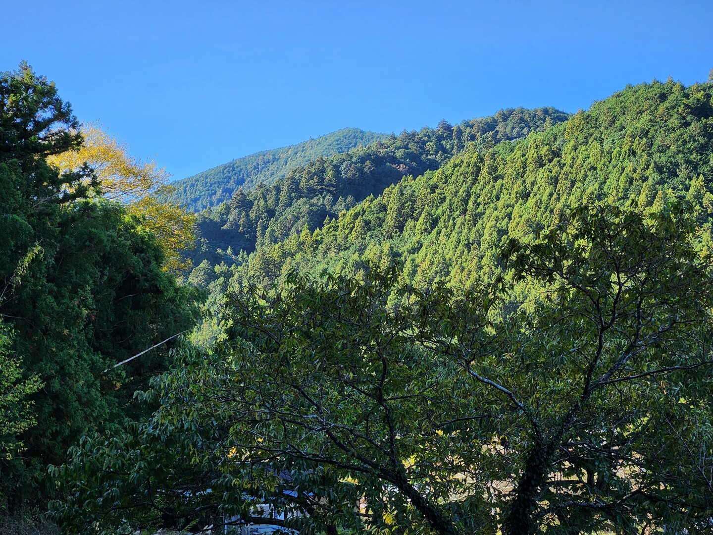 新柵山・飯盛山 / dxcさんの堂平山・笠山（乳房山）・大霧山の活動データ | YAMAP / ヤマップ
