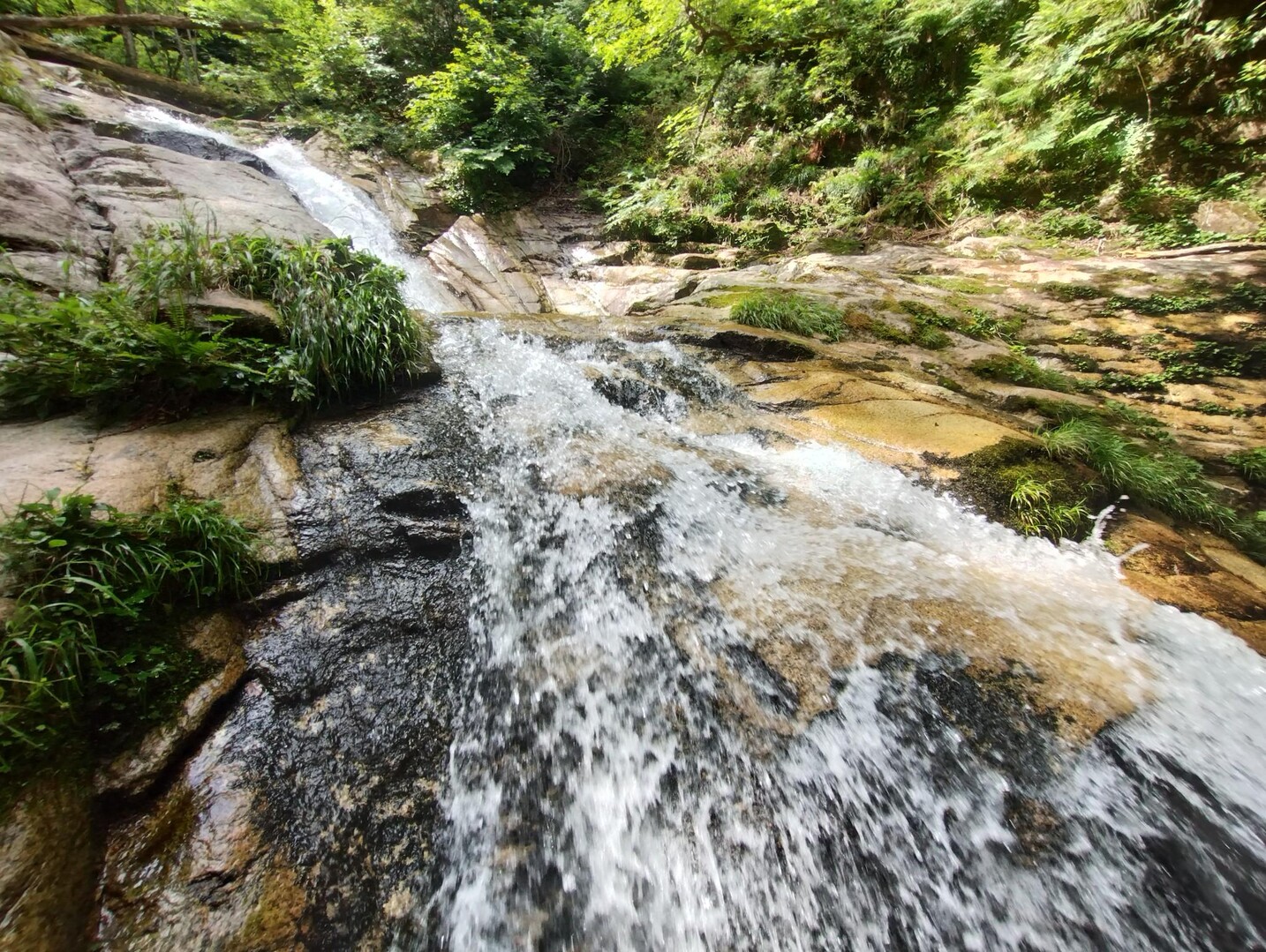 武奈ヶ岳、八ツ淵の滝 / なかしさんの比良山地・武奈ヶ岳・釈迦岳の活動日記 | YAMAP / ヤマップ