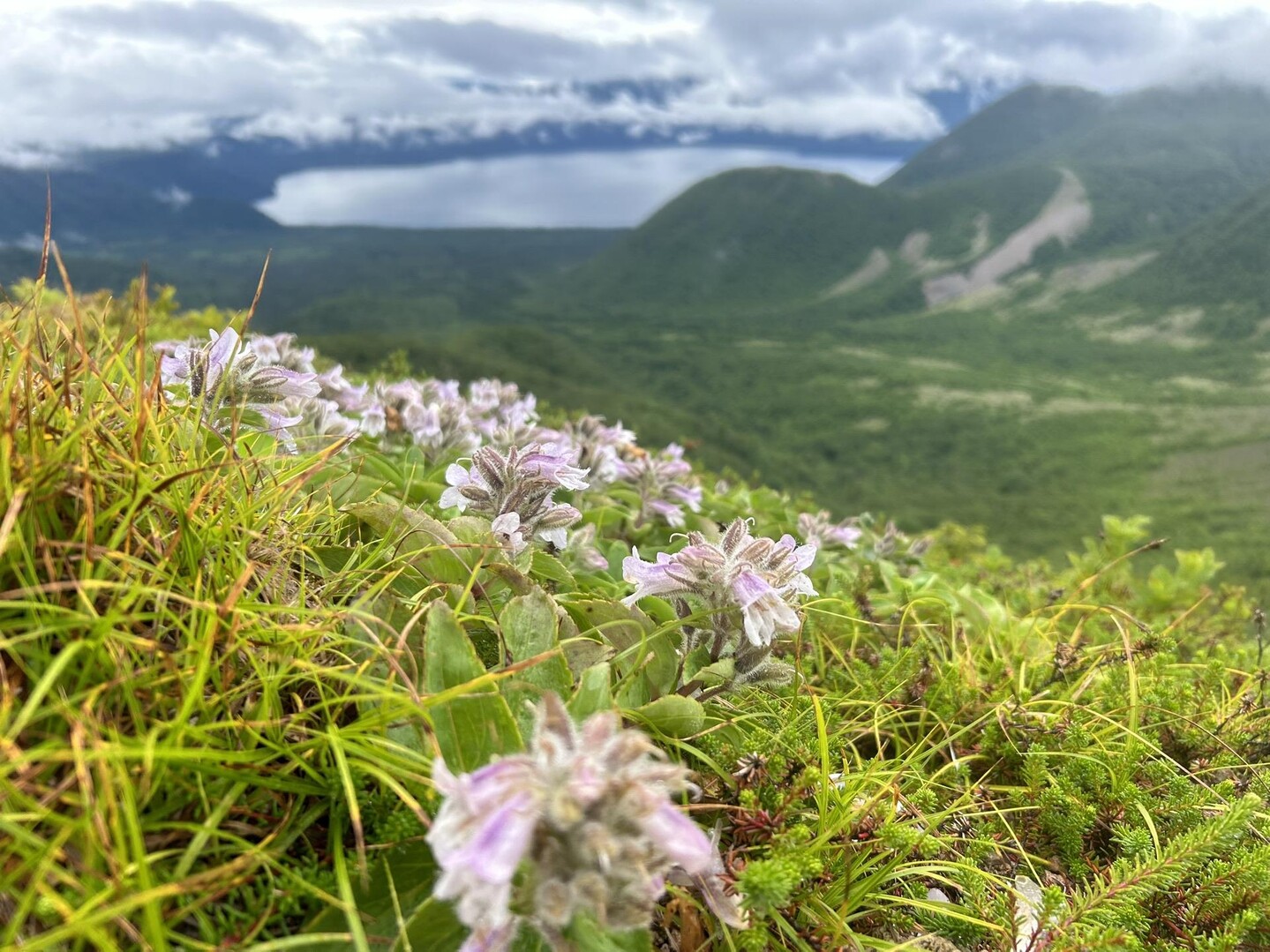 樽前山TR / ziziさんの樽前山・風不死岳の活動日記 | YAMAP / ヤマップ