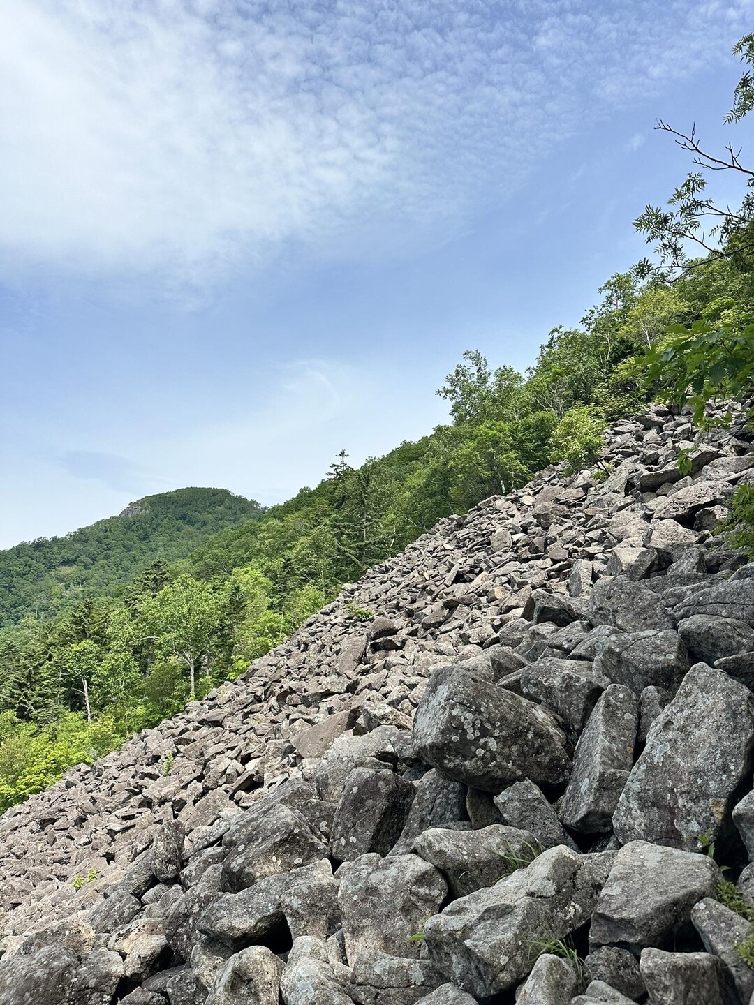 手稲で2度目の👟慣らし2024.6.27 / nobuさんの手稲山・奥手稲山の活動データ | YAMAP / ヤマップ