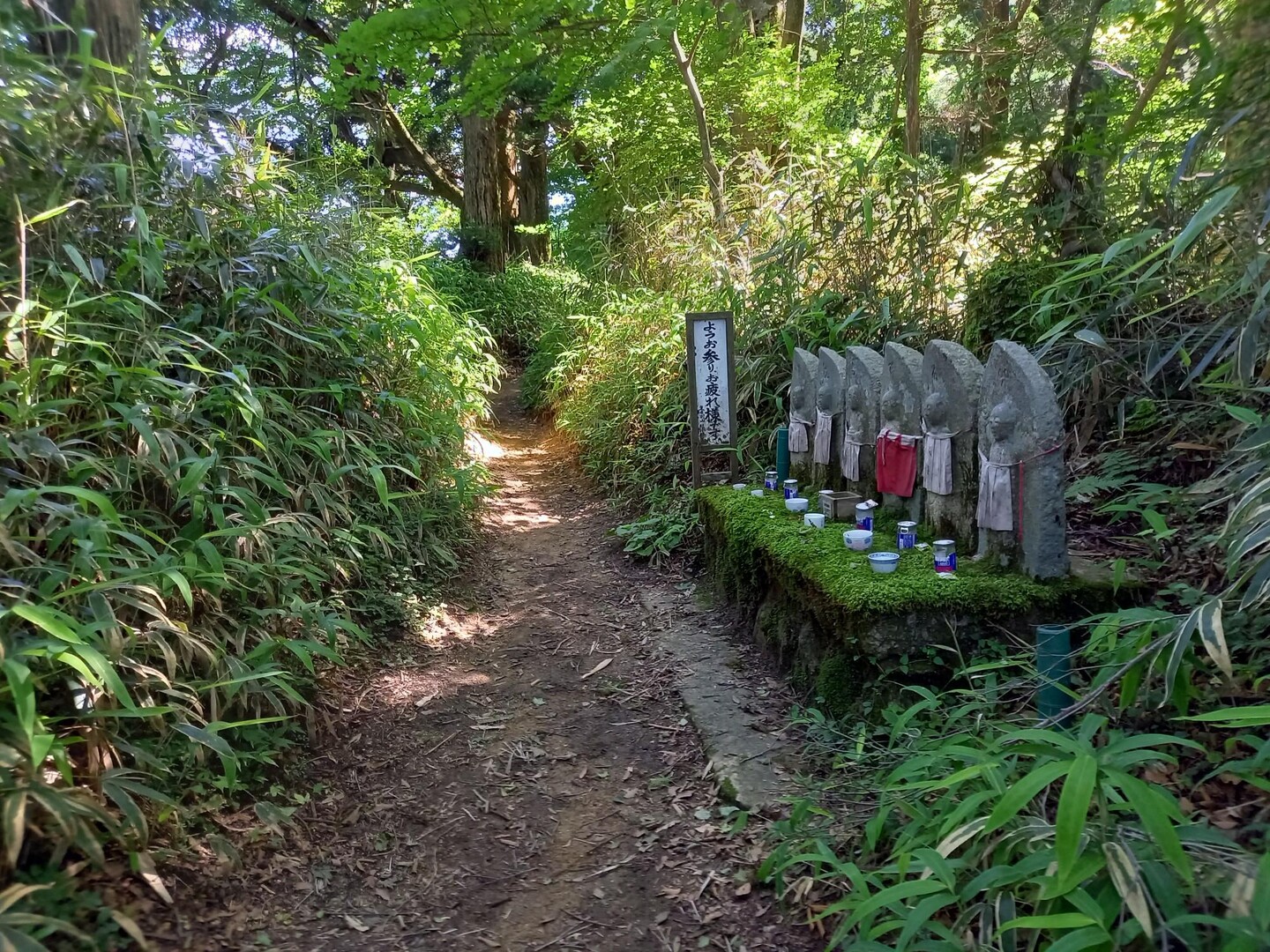 金剛山 / jun8さんの金剛山・二上山・大和葛城山の活動データ | YAMAP / ヤマップ