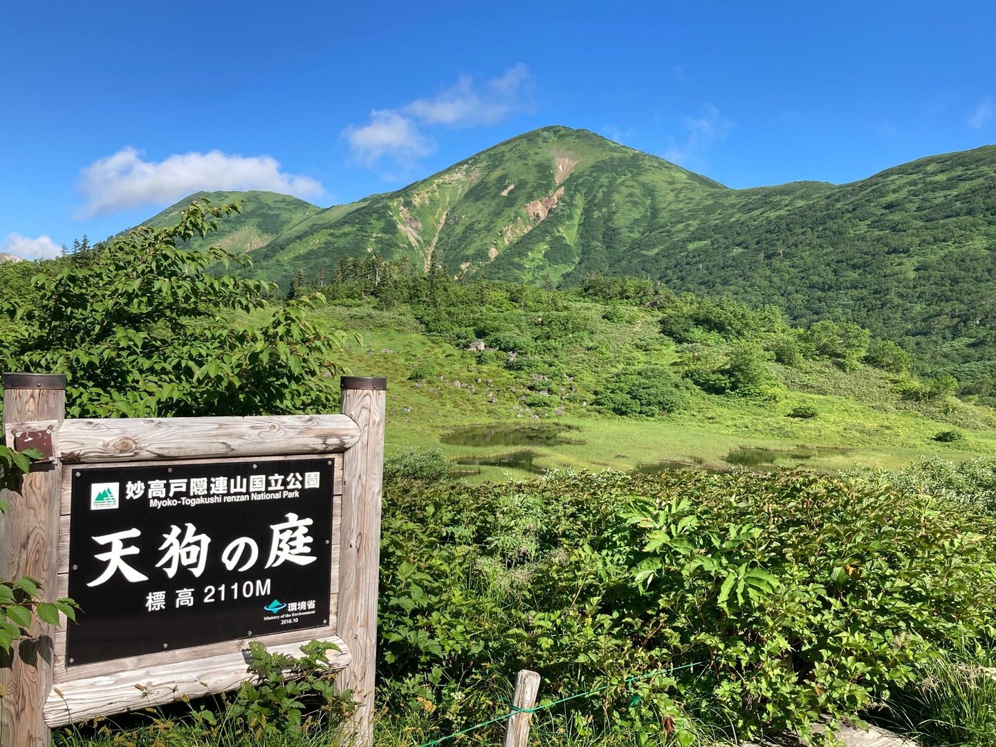 火打山 / higeさんの妙高山・火打山の活動データ | YAMAP / ヤマップ