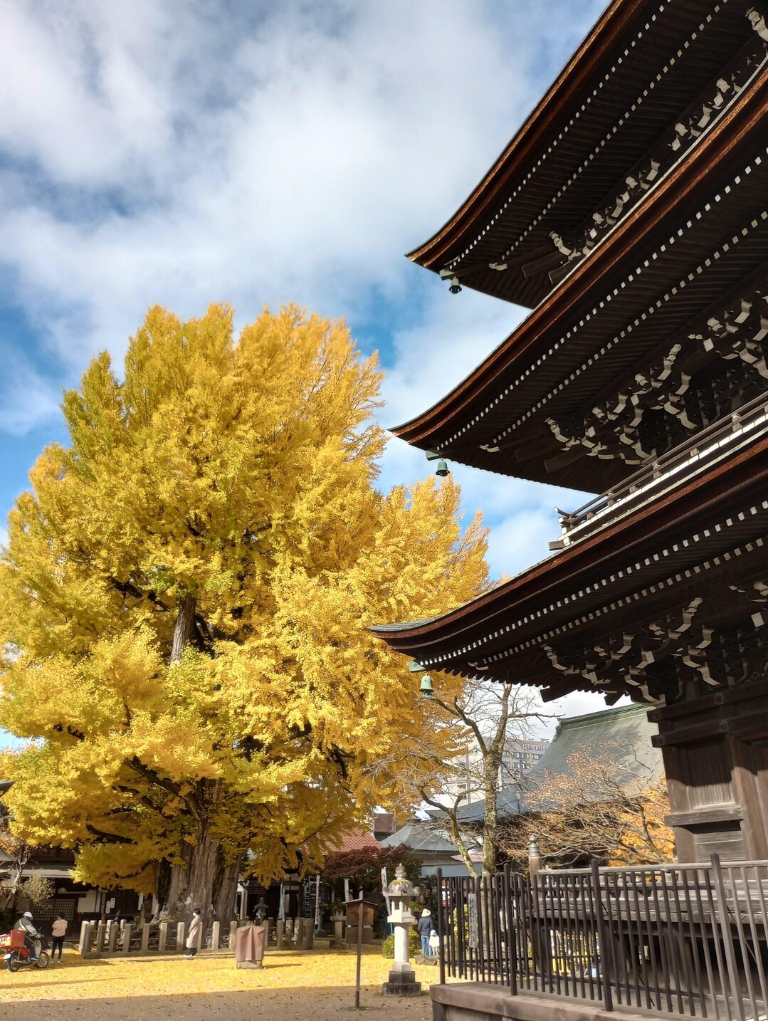 🚃番外編🍁飛騨高山1日目🍁紅葉🍁出張🚃観光散策 / GNMTさんのウォーキングの活動データ | YAMAP / ヤマップ