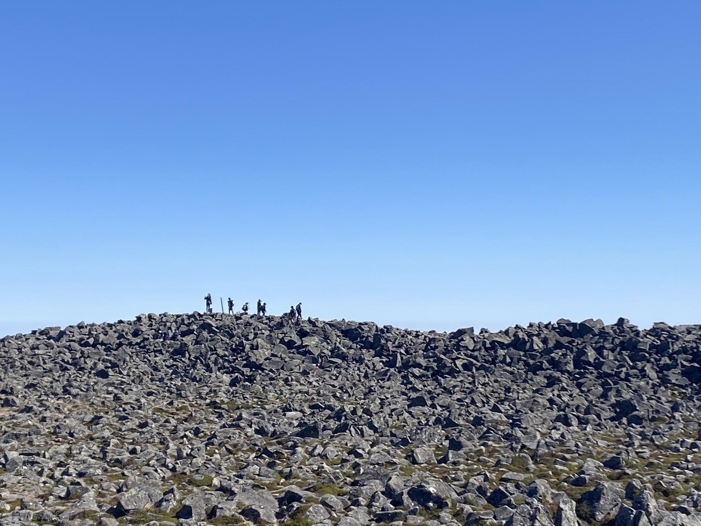 送別登山① 蓼科山～双子池周回 / tuneQさんの登山の活動データ | YAMAP / ヤマップ