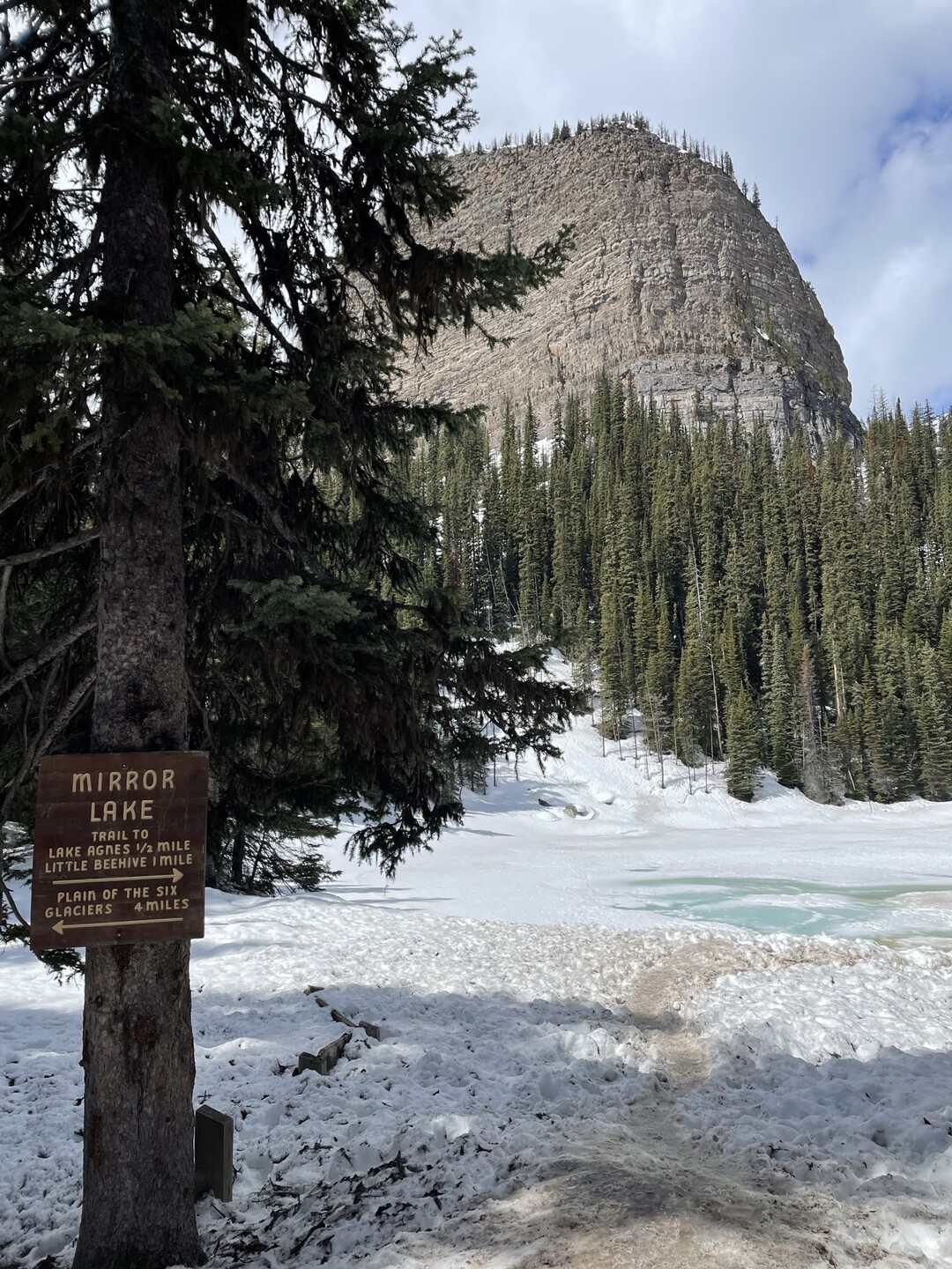 I climbed the anothe... / Sayo さんのモーメント | YAMAP / ヤマップ