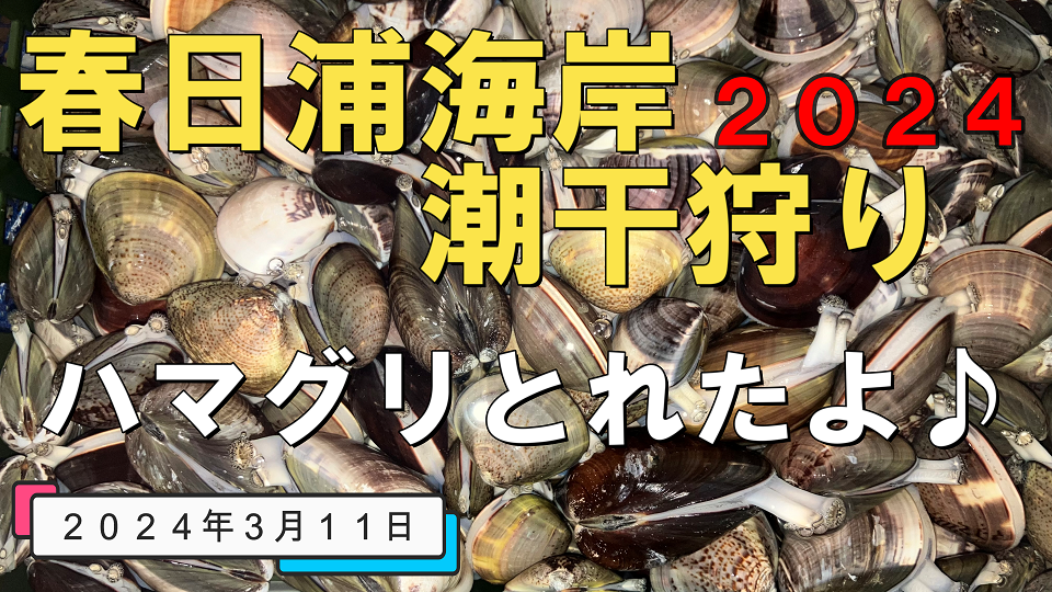 今年初の潮干狩りの動画をUPしました。(... / Kyoheiさんのモーメント | YAMAP / ヤマップ