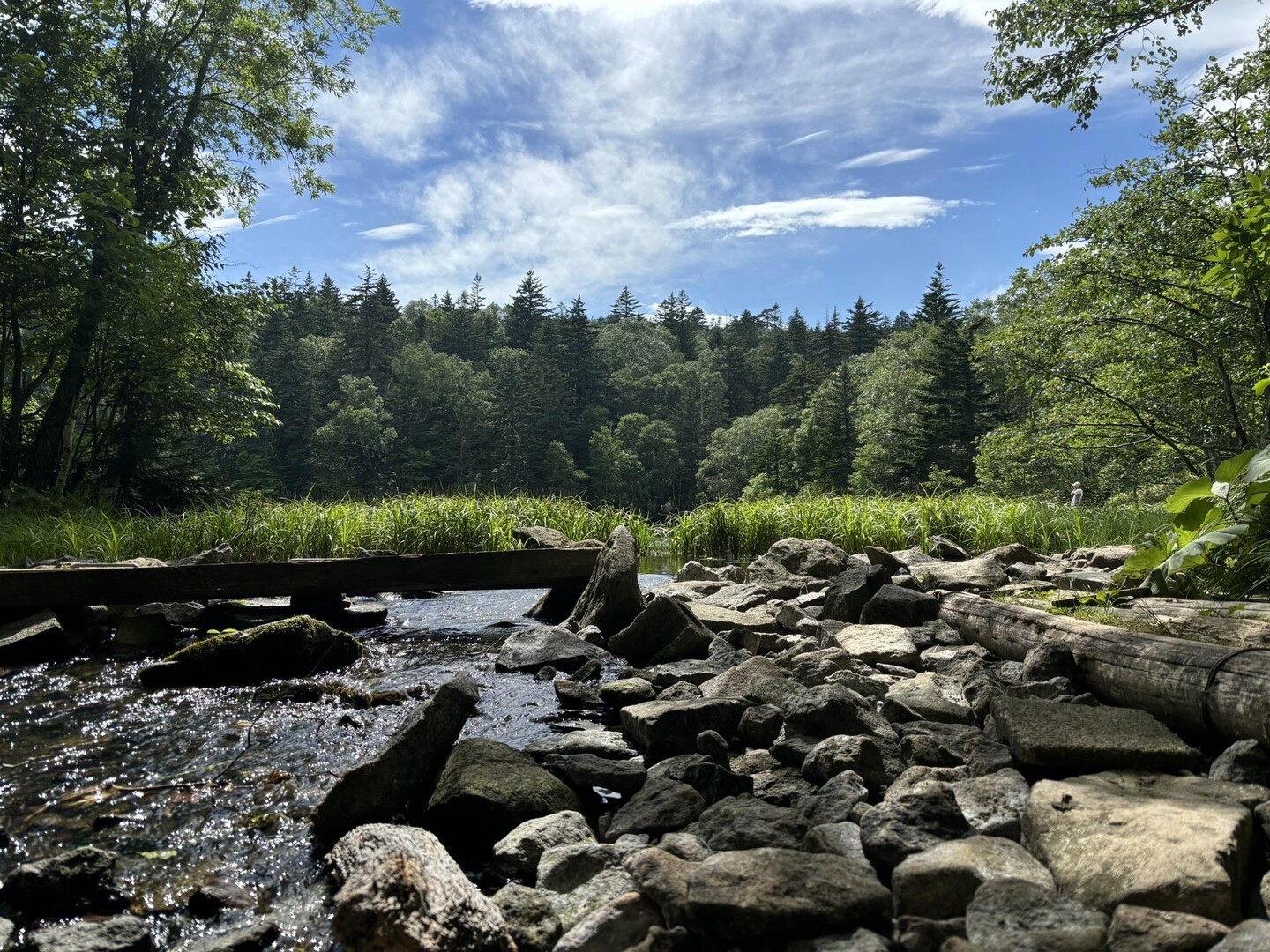 空沼岳 / Happyさんの札幌岳・空沼岳の活動データ | YAMAP / ヤマップ