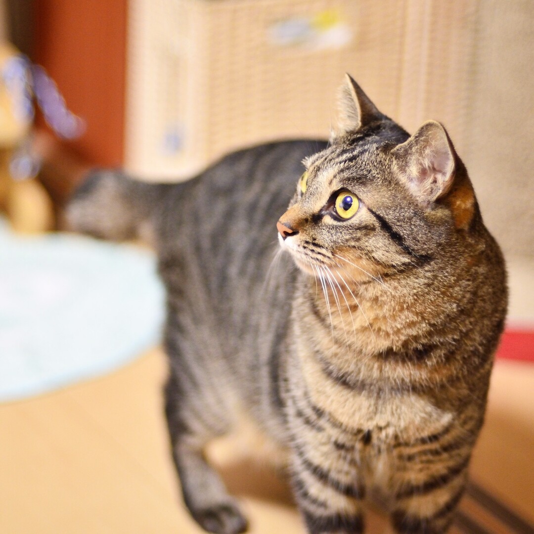 mooのページ | YAMAP / ヤマップ