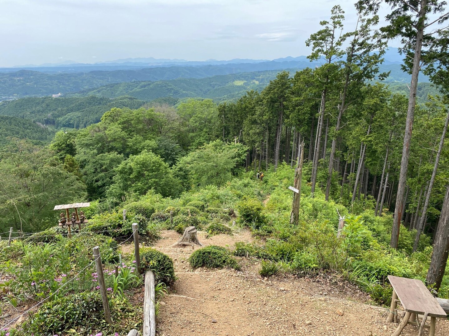 龍崖山・燧山・柏木山 / Water Rabbitさんの天覧山・多峯主山・天覚山の活動データ | YAMAP / ヤマップ