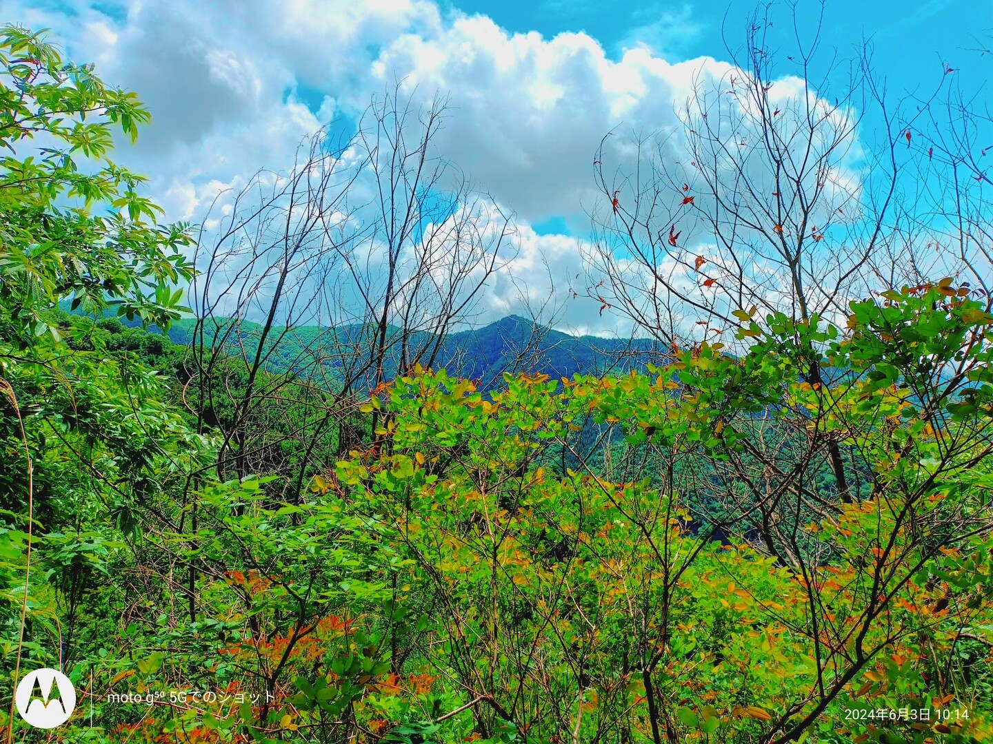 塩山駅から源次郎岳を通って勝沼ぶどう郷駅へ。 / man forestさんの甲州高尾山・宮宕山・源次郎岳の活動データ | YAMAP / ヤマップ