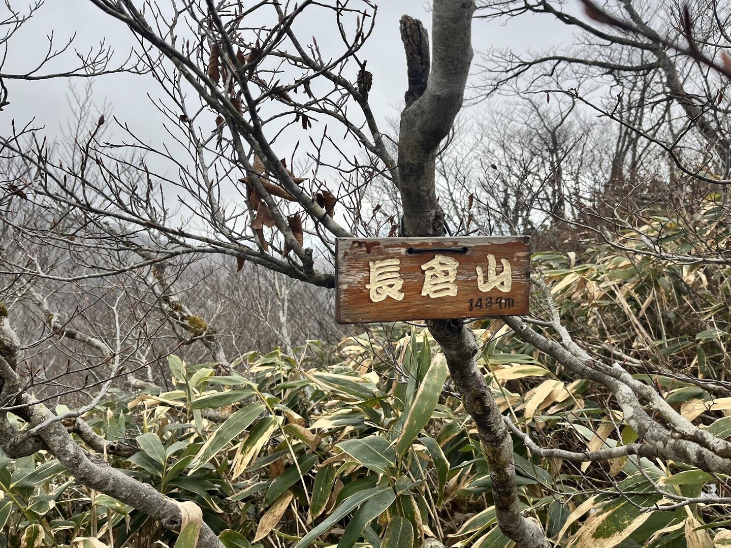 長倉山 / みほさんの仙ノ倉山・平標山・大源太山の活動データ | YAMAP / ヤマップ