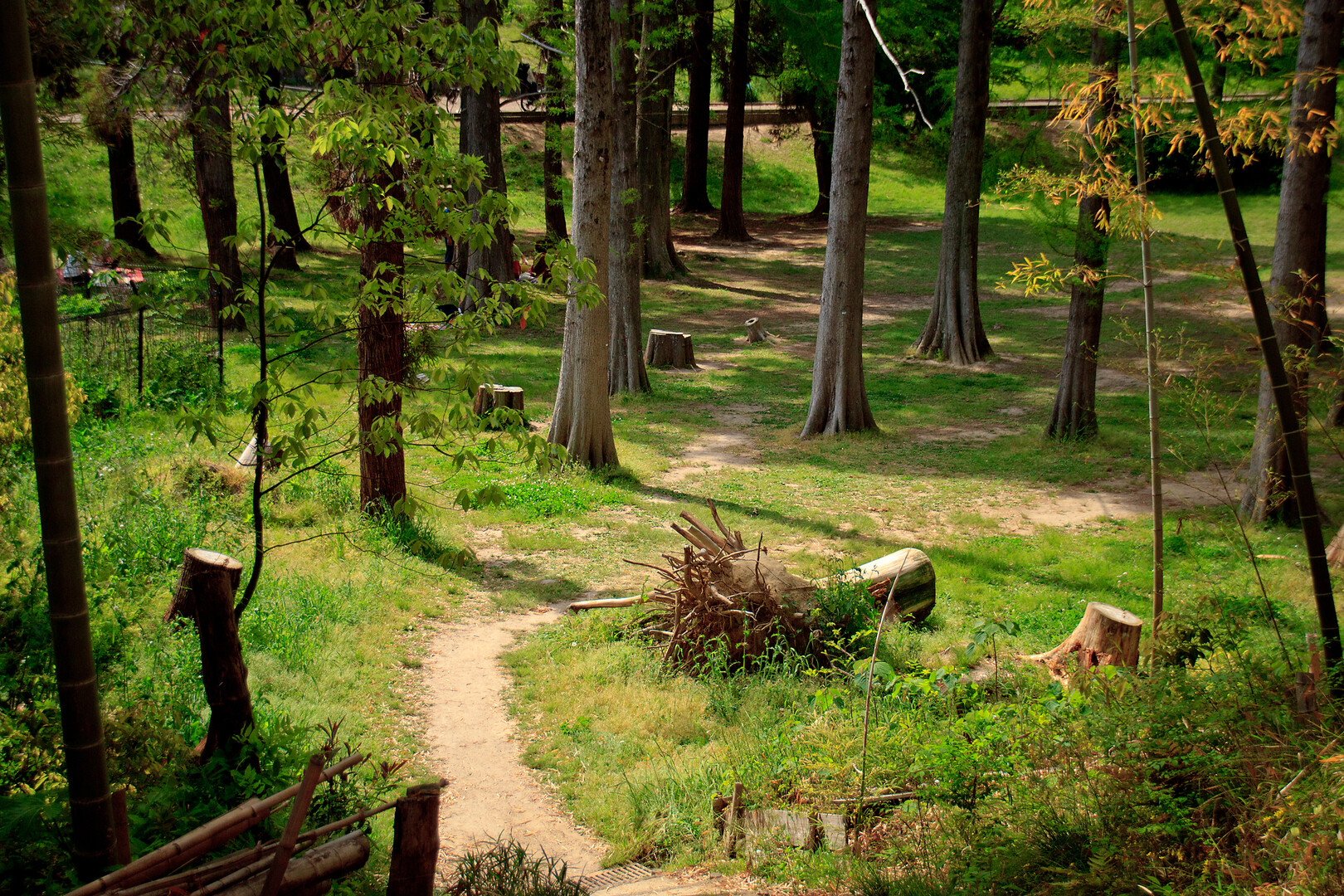 千里ニュータウン界隈「歩荷de散歩」の巻 / tamu-chanさんの大阪市の活動日記 | YAMAP / ヤマップ