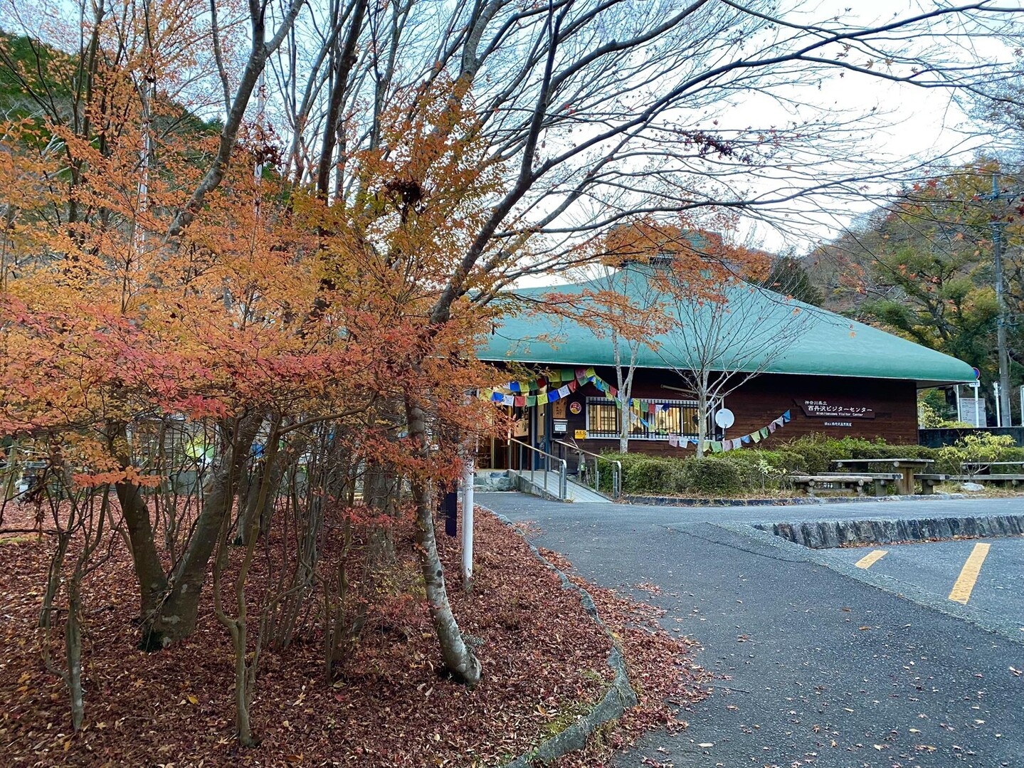 西丹沢ゆる散歩 / おっしーさんの塔ノ岳・丹沢山・蛭ヶ岳の活動データ | YAMAP / ヤマップ