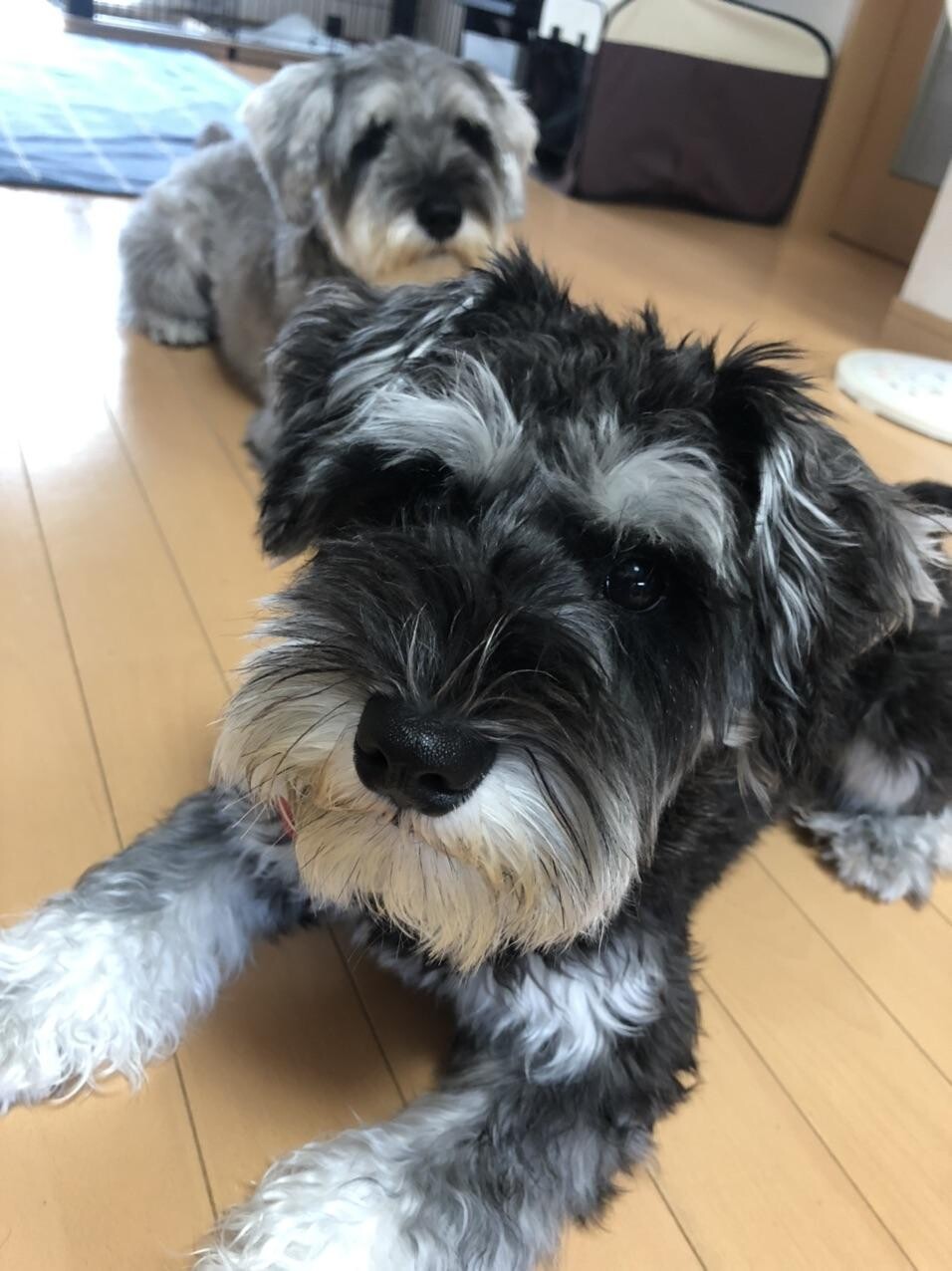 さくぞうのページ | YAMAP / ヤマップ