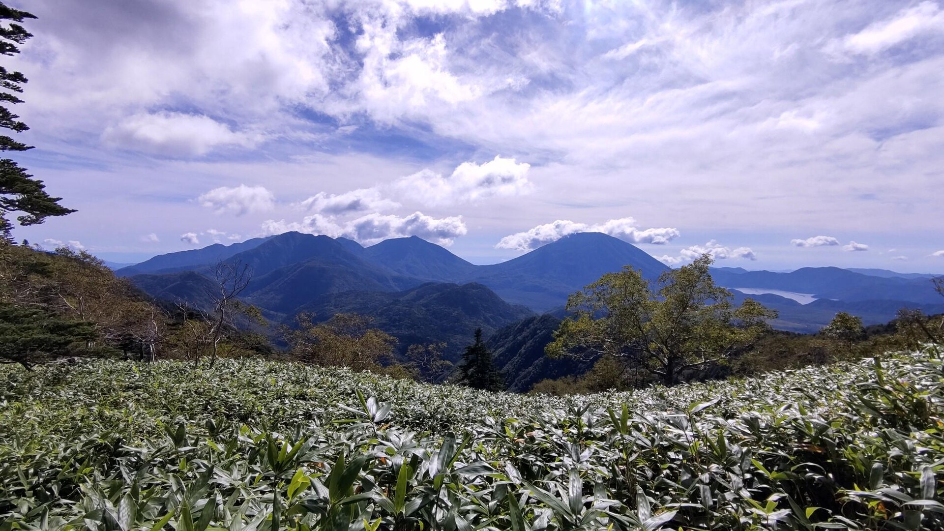 Nikko Three Mountains 温泉ヶ岳・根名草山 / M.T.windingさんの日光白根山・五色山・錫ヶ岳の活動データ | YAMAP / ヤマップ