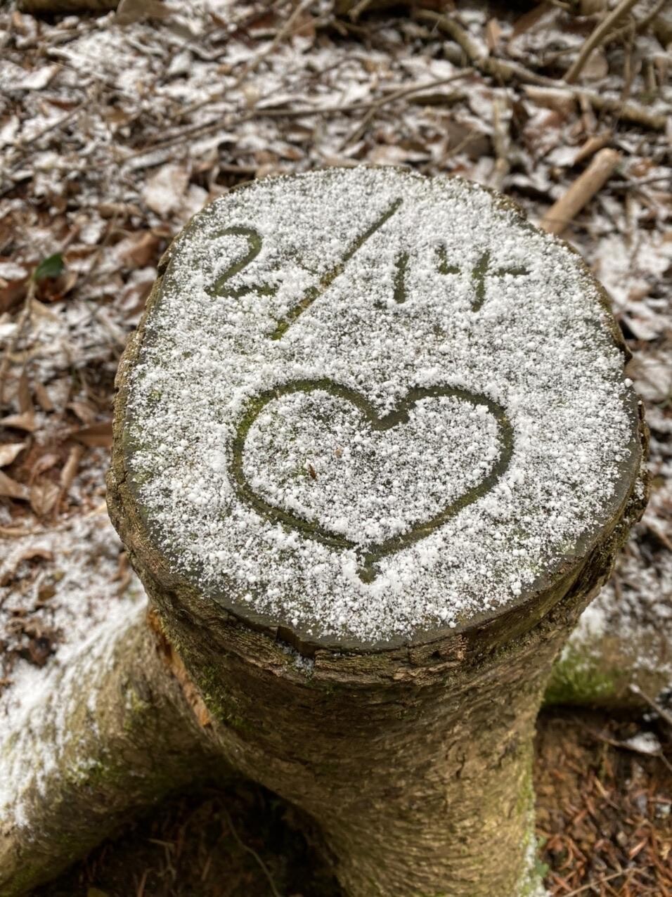 ポンポン山 / hakuさんのポンポン山・釈迦岳・小塩山・若山の活動データ | YAMAP / ヤマップ