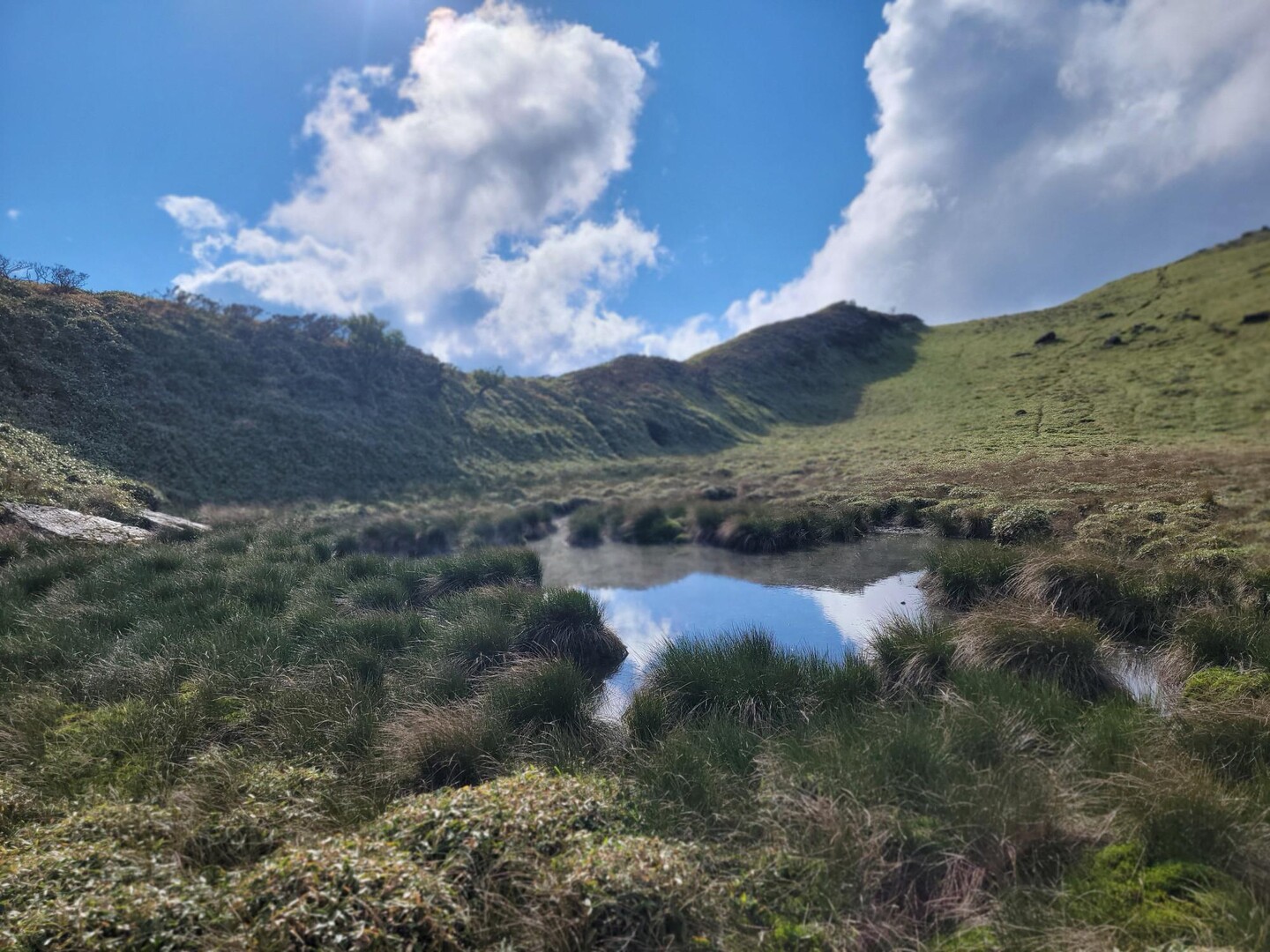 三嶺・西熊山・天狗塚・牛の背 / haruruさんの三嶺・天狗塚・石立山の活動データ | YAMAP / ヤマップ