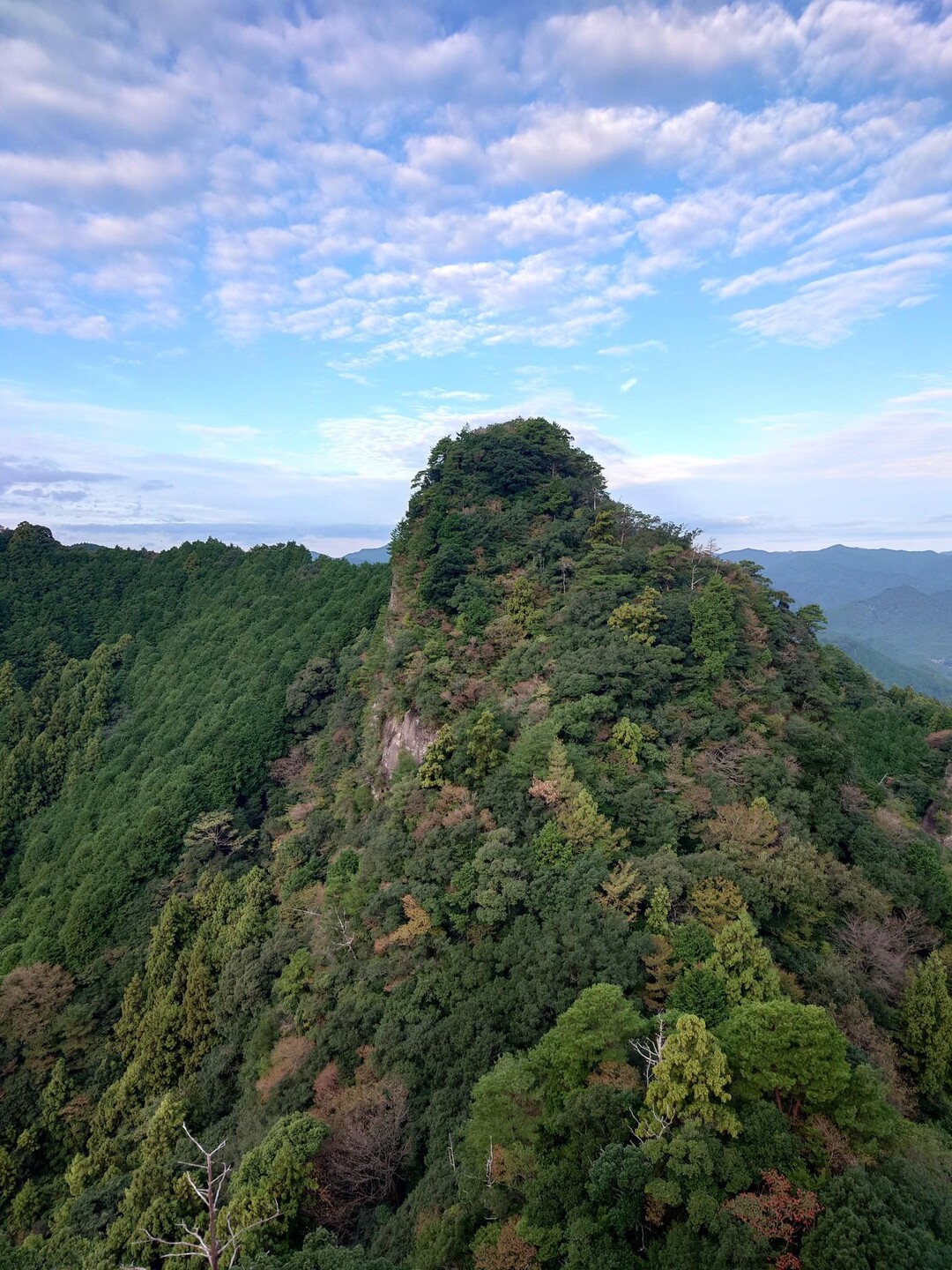 雌岳・嶽ノ森山 / palさんの嶽の森（嶽ノ森山）・峯ノ山の活動データ | YAMAP / ヤマップ