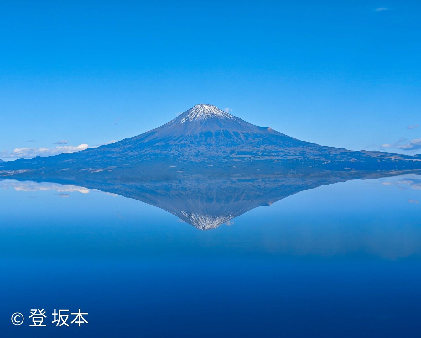 浜石岳 / nobo1274さんの薩埵峠（薩た峠・サッタ峠）・浜石岳の活動データ | YAMAP / ヤマップ